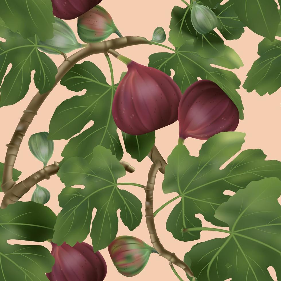 Vector 3D illustration Common Fig Tree Seamless Pattern in Coral ...