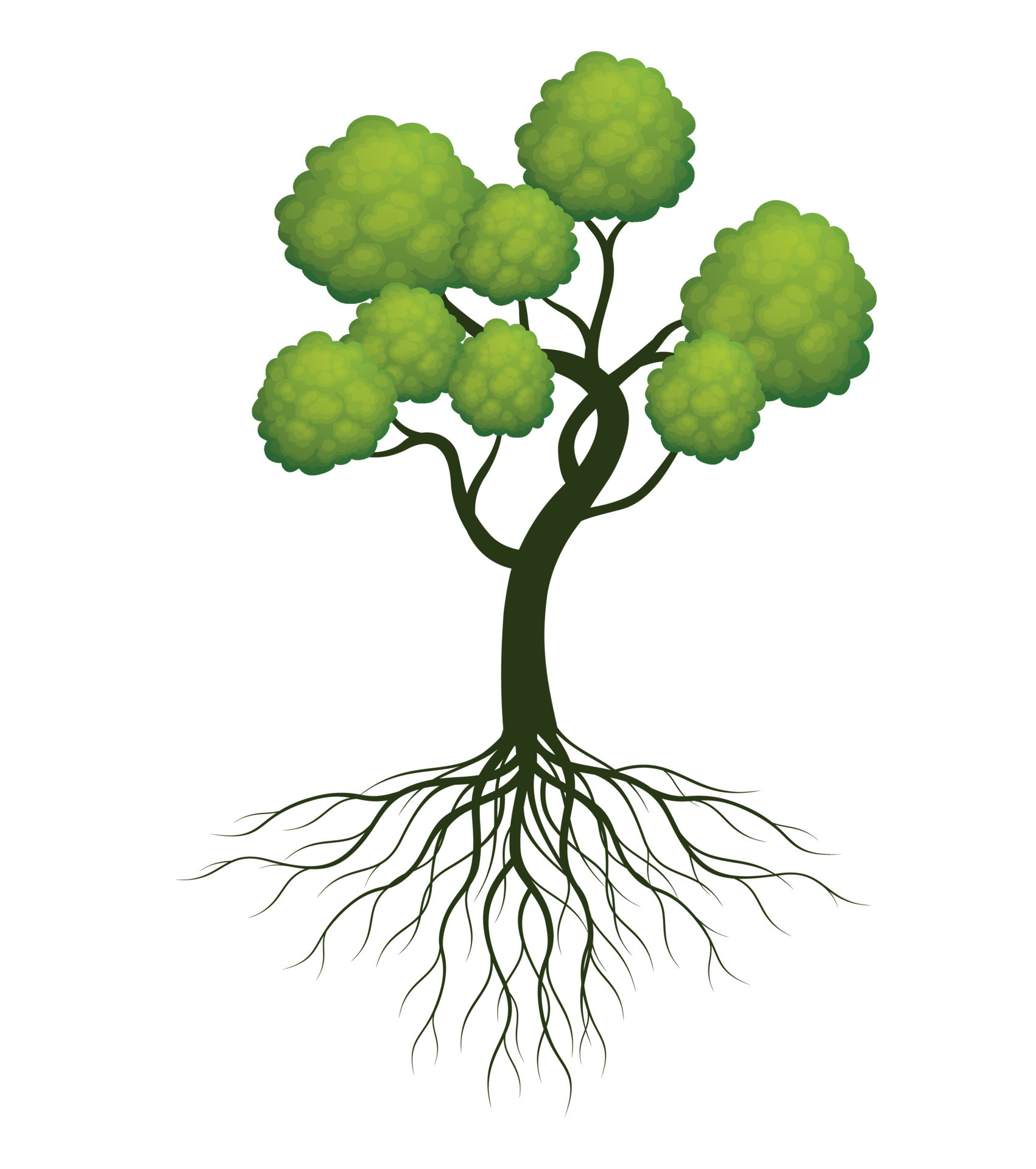 Green spring Tree with Roots. Vector Illustration. 9288024 Vector Art ...