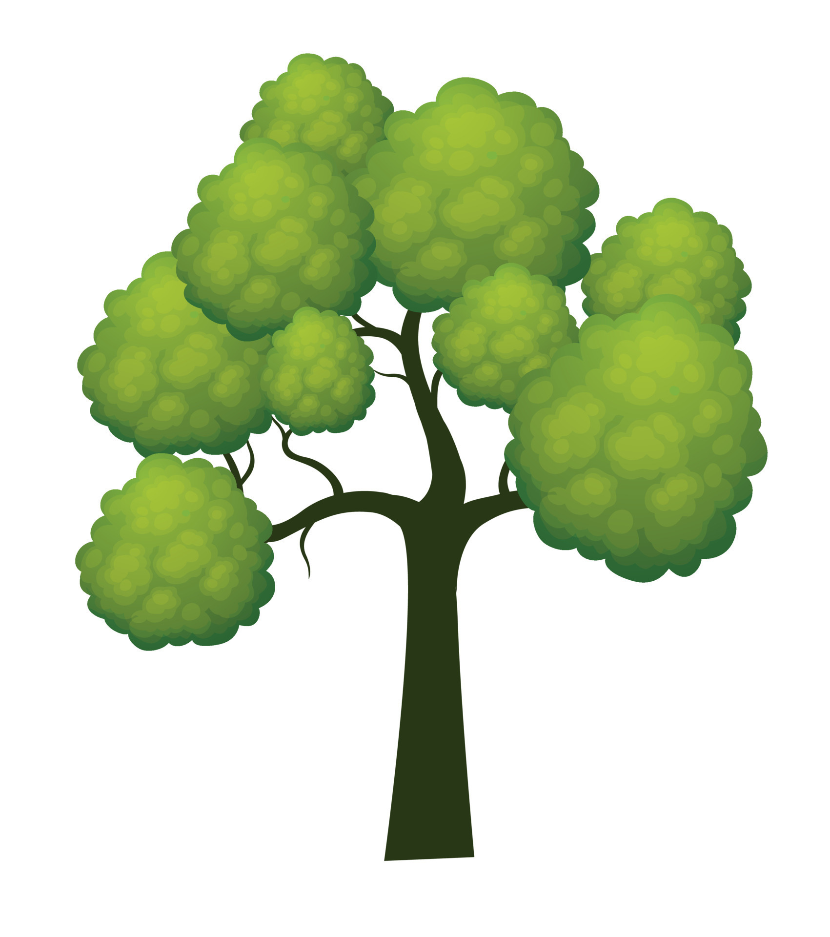 Green spring Tree. Vector Illustration. 9288027 Vector Art at Vecteezy