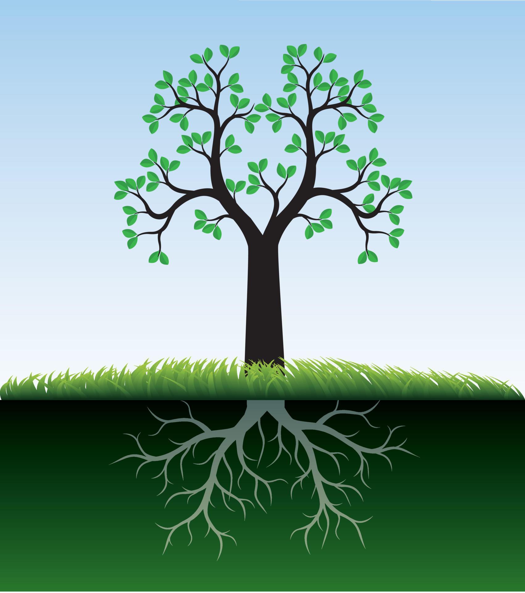 Green spring Tree with Roots. Vector Illustration. 9288029 Vector Art ...