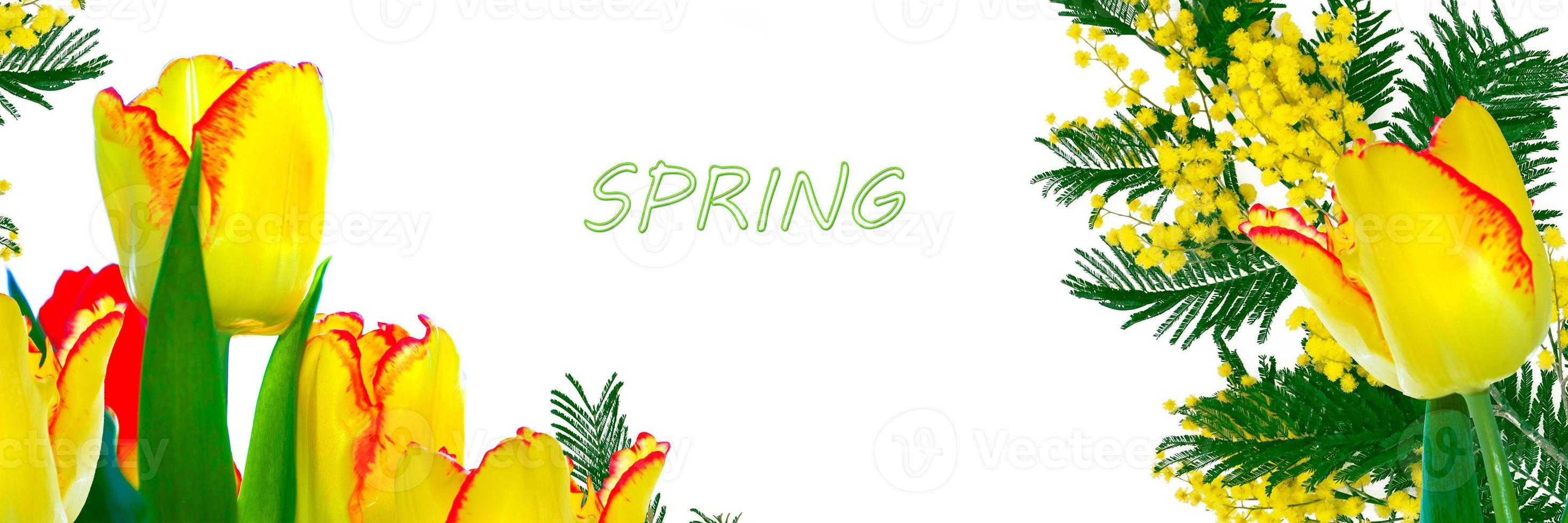 Spring Collection Stock Photos, Images and Backgrounds for Free Download