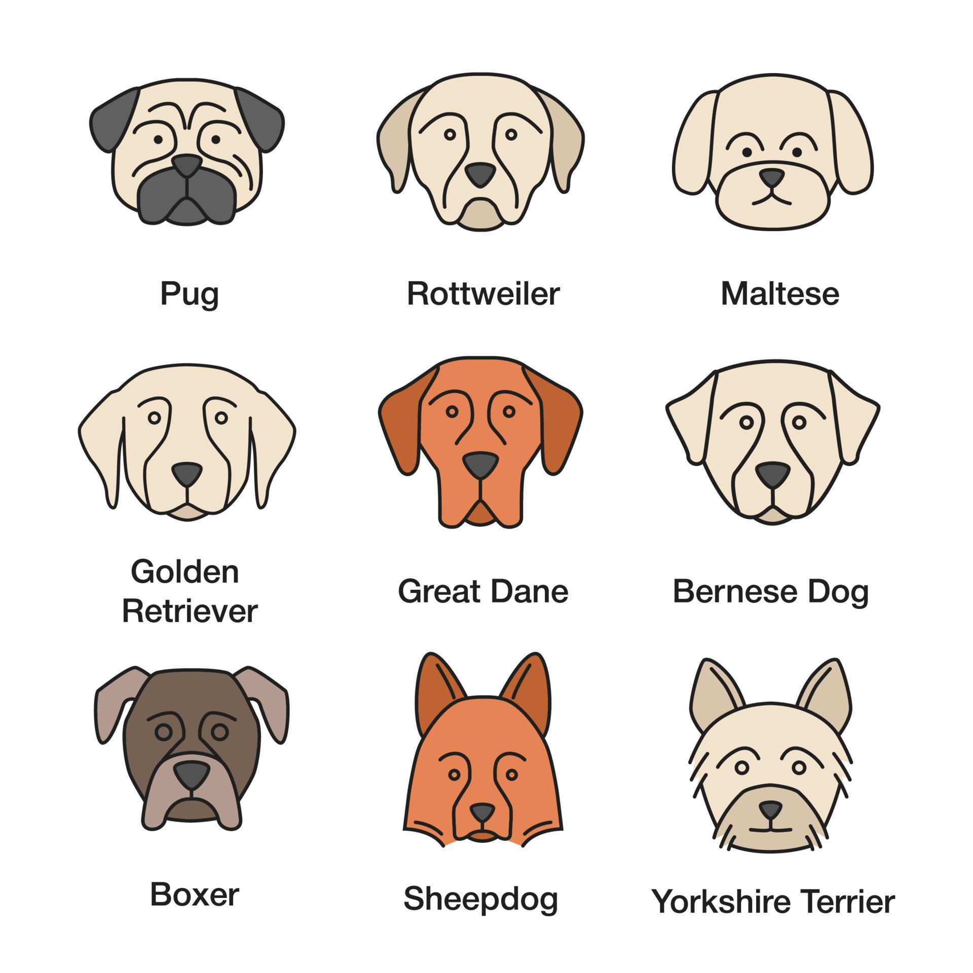 Dogs Breeds Color Icons Set Pug Rottweiler Maltese Golden Retriever dogs-breeds-color-icons-set-pug-rottweiler-maltese-golden-retriever