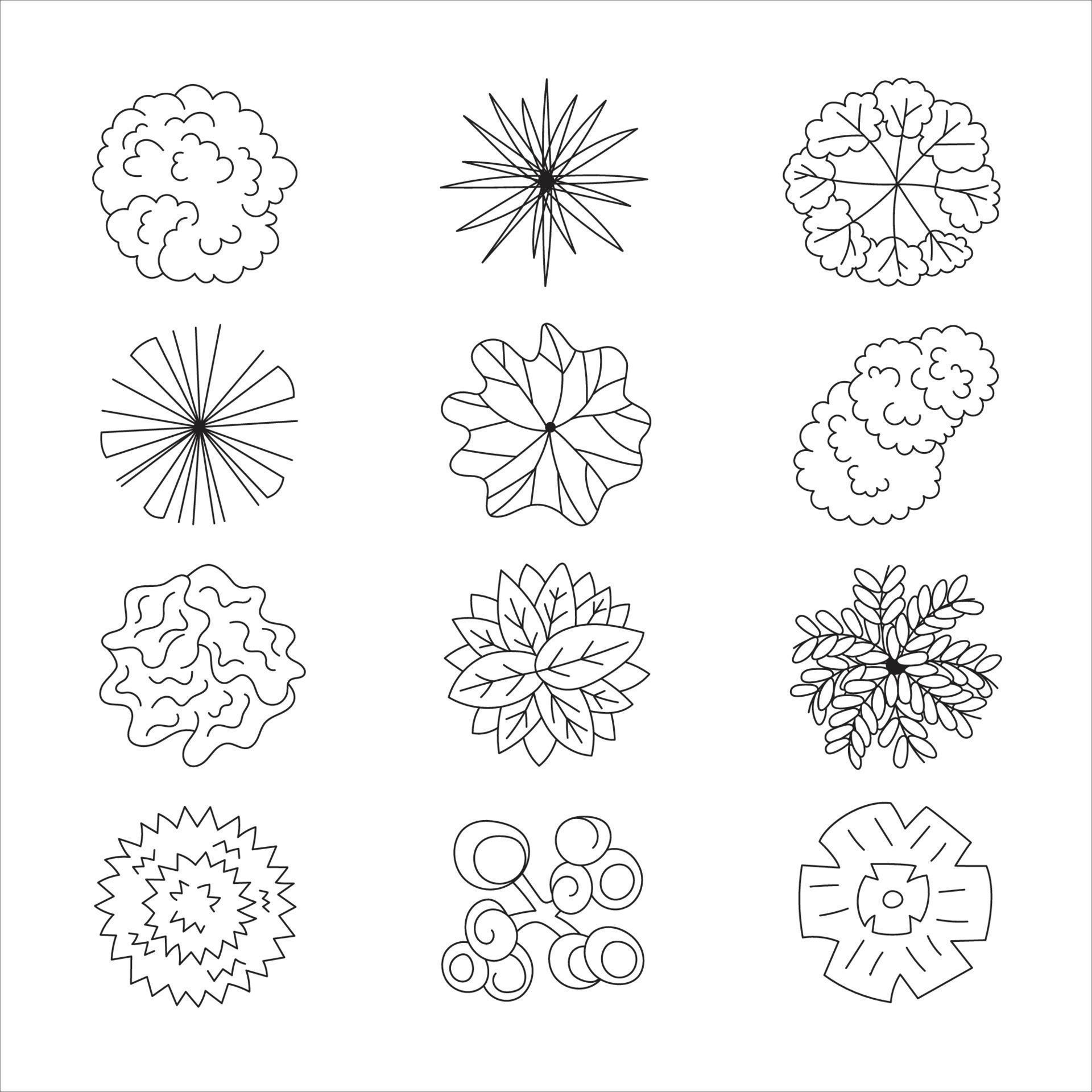 Tree Plan Architectural Feature Collections 9322254 Vector Art at Vecteezy