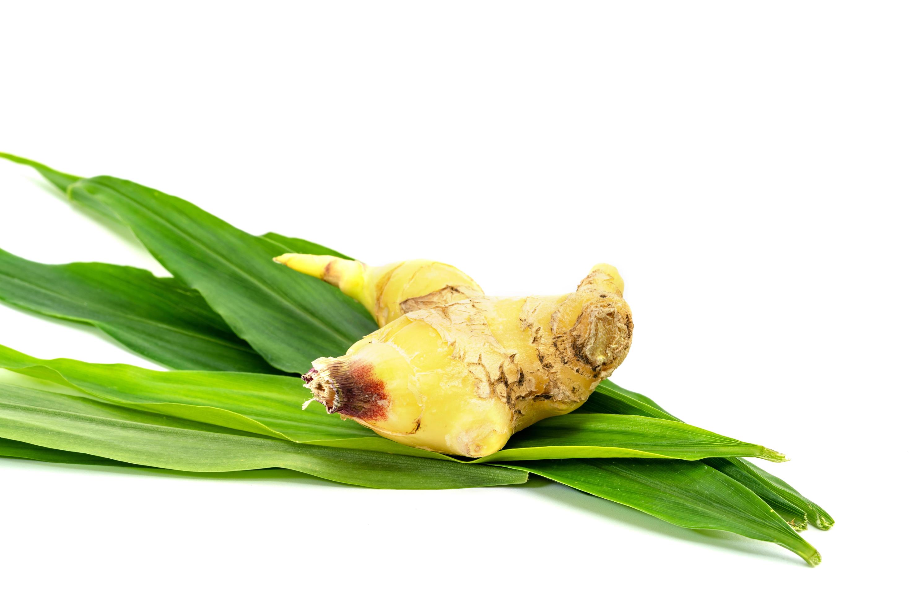 closeup fresh ginger on white background 9337725 Stock Photo at Vecteezy