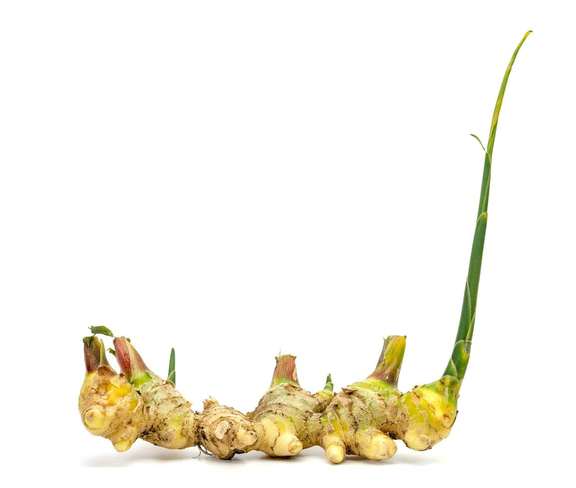 closeup fresh ginger on white background 9338635 Stock Photo at Vecteezy