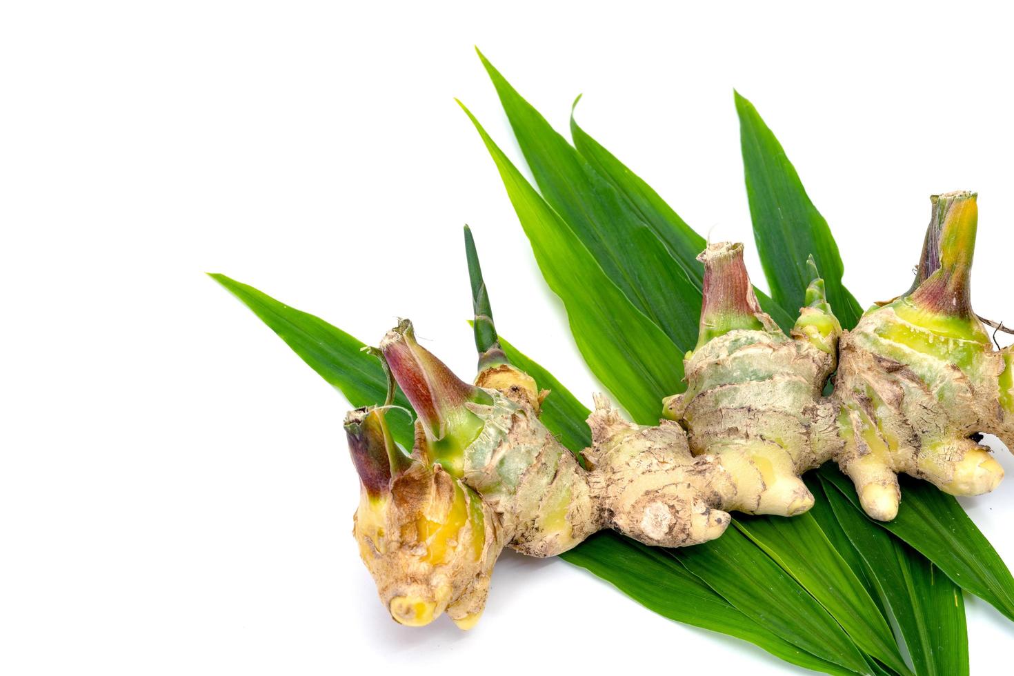closeup fresh ginger on white background 9338894 Stock Photo at Vecteezy