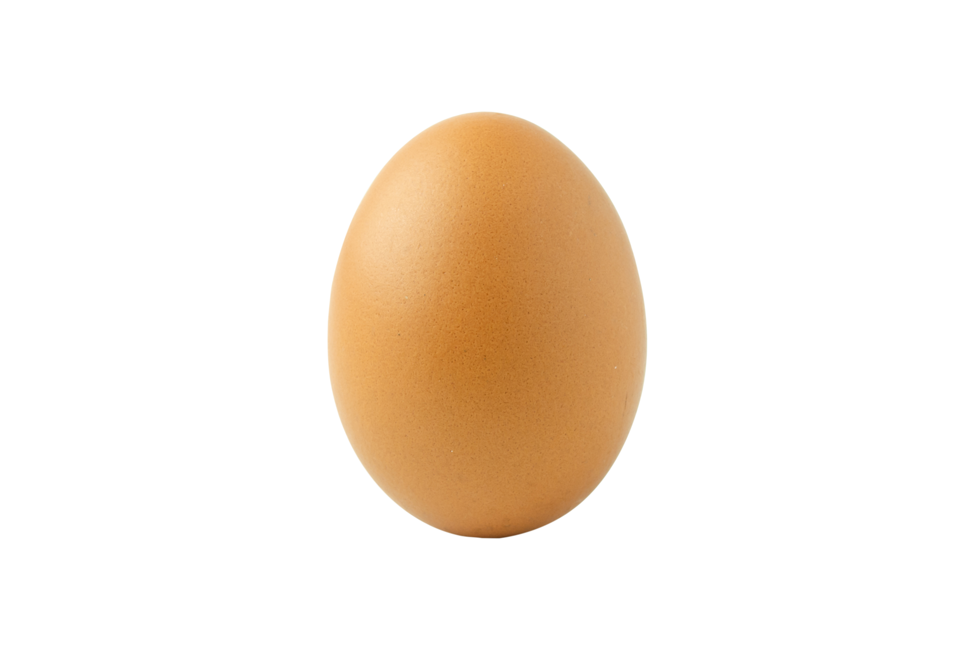 Chicken Egg Raw 9339329 Png