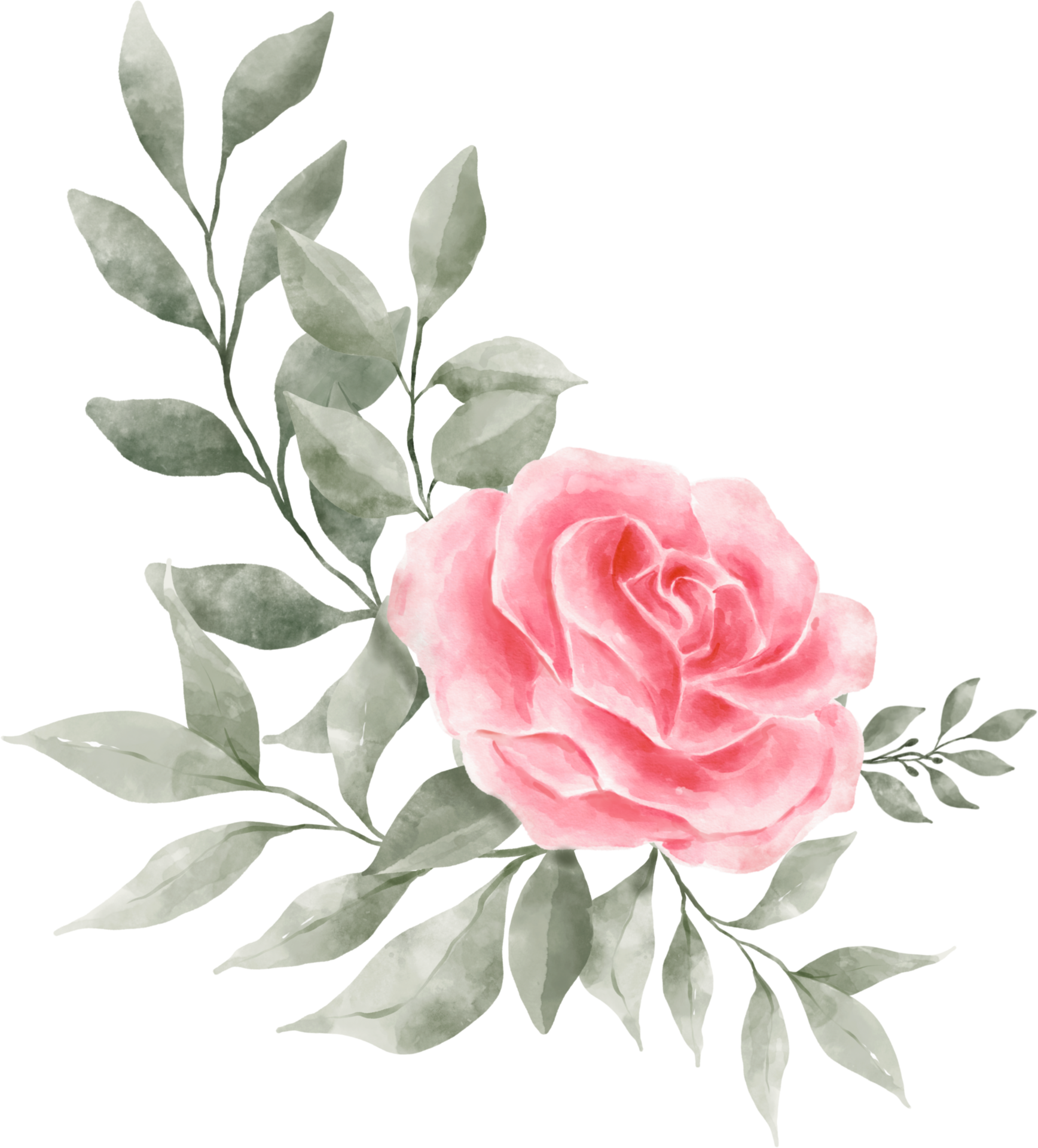 rosa rosa flor ramo arreglo acuarela 9369357 PNG rosa rosa flor ramo arreglo acuarela 9369357 PNG