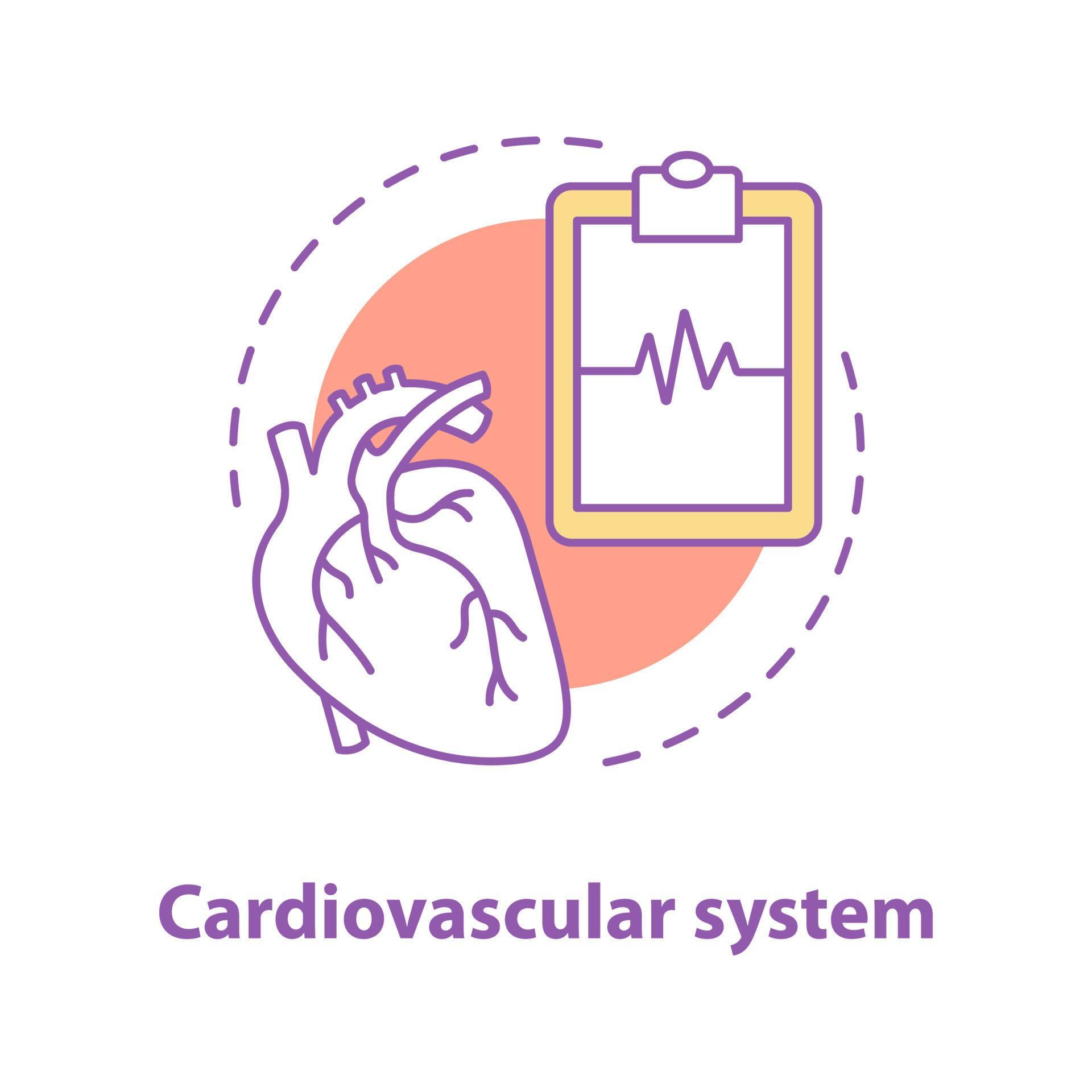 Icono Del Concepto Del Sistema Cardiovascular Idea De Cardiología