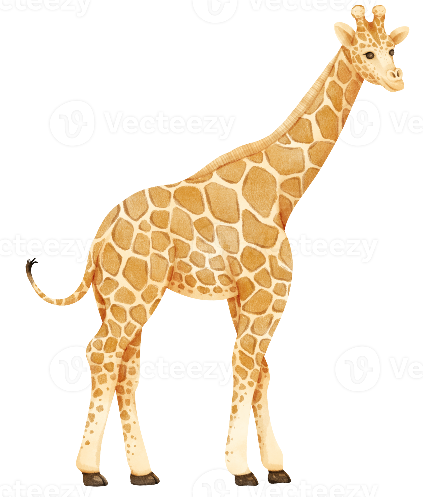 Giraffe savanna animals watercolor illustration 9373198 PNG