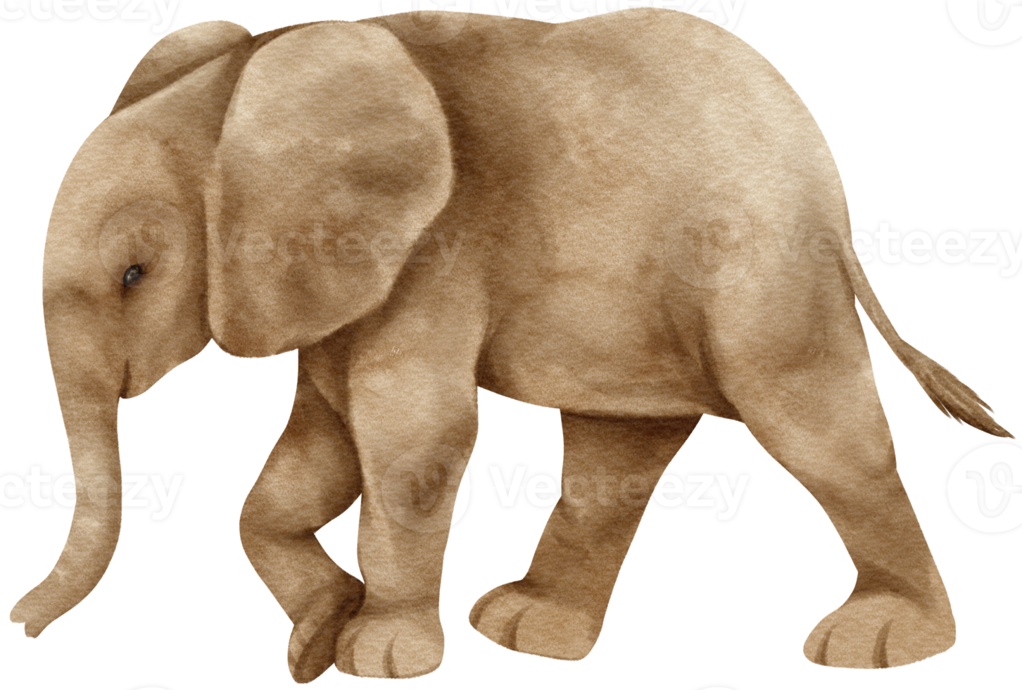 African elephant wildlife animals watercolor illustration 9373206 PNG