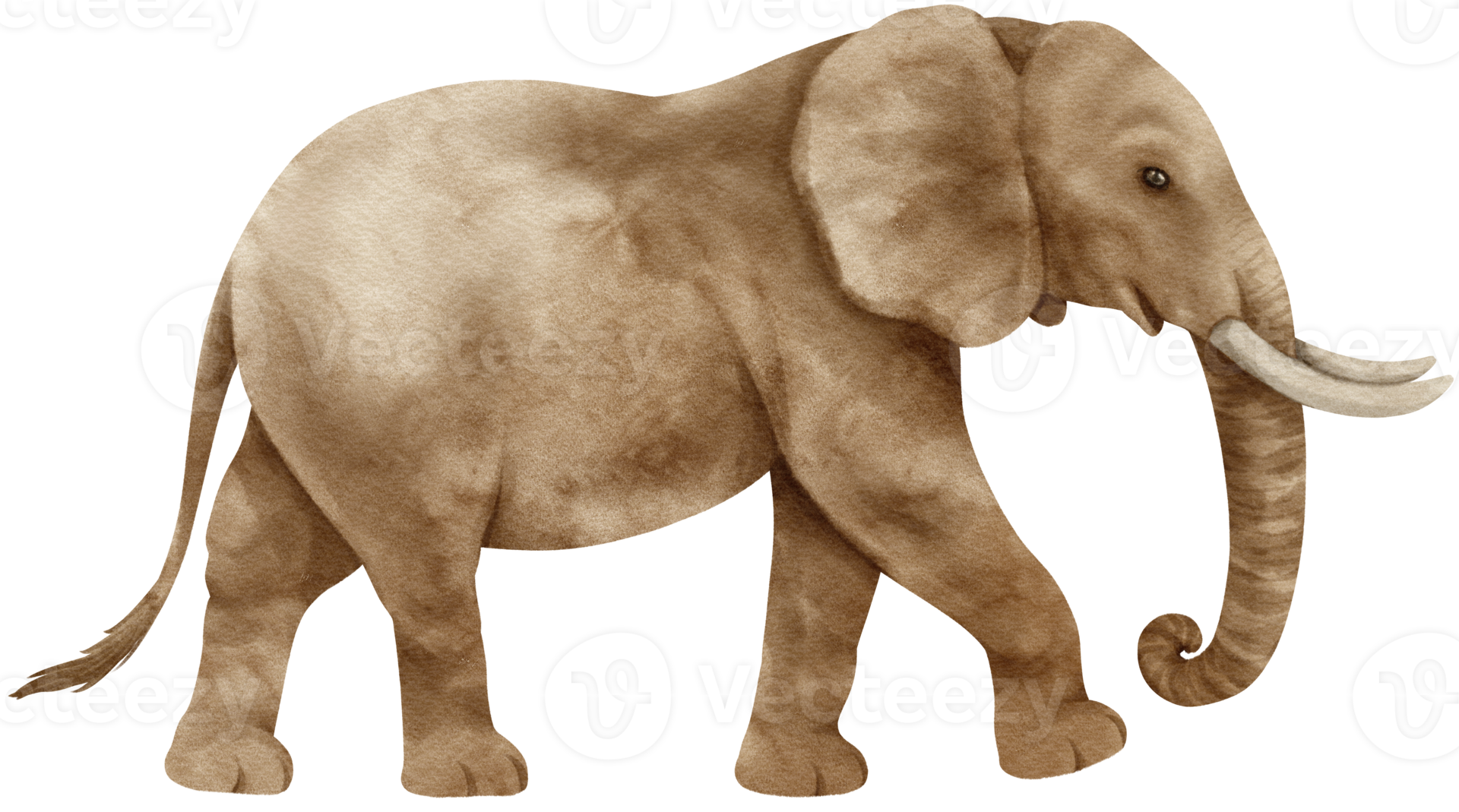 African elephant wildlife animals watercolor illustration 9373213 PNG