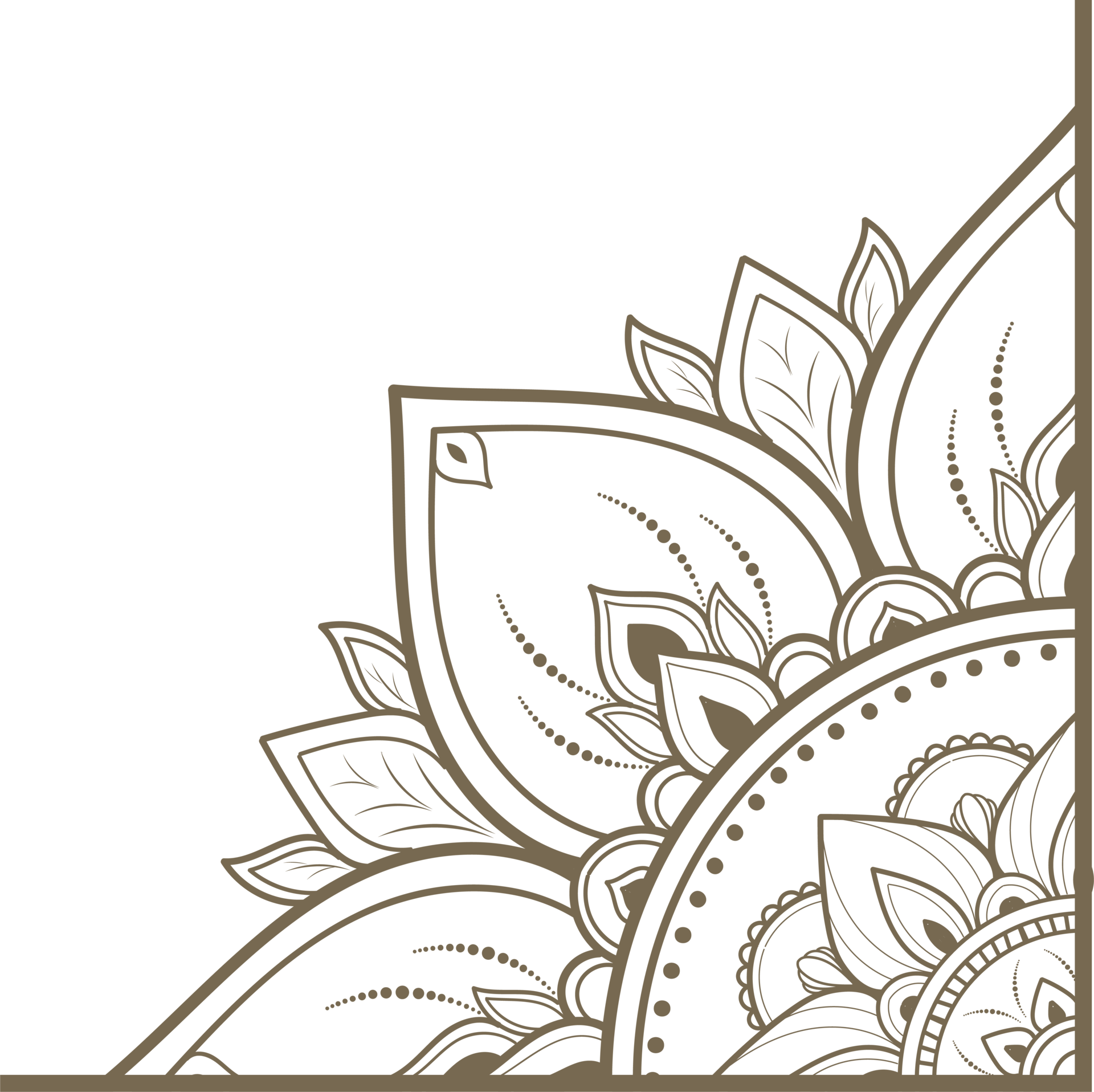 Floral Corner Shapes Leaves Border Frame Illustration 9375866 Png