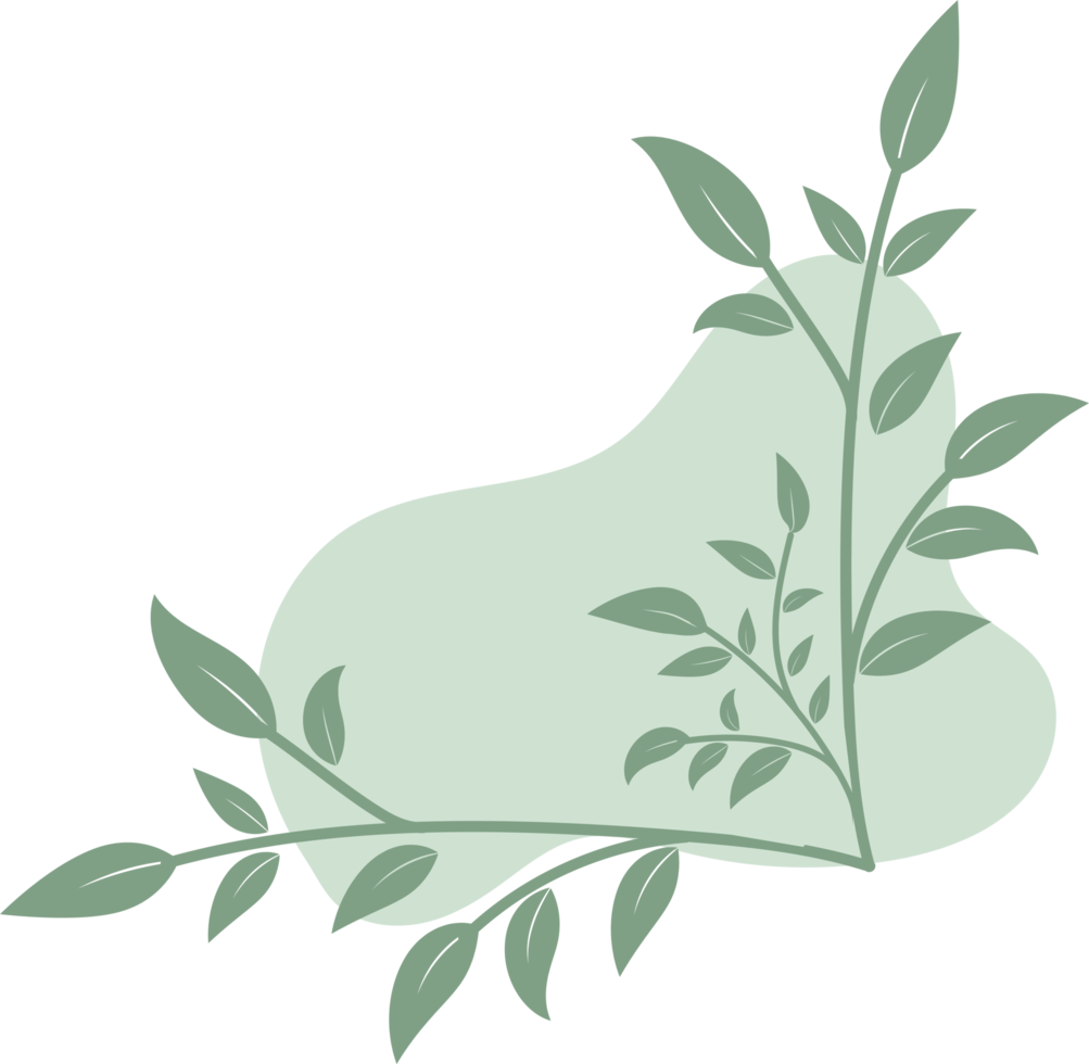 Esquina De Borde De Página De Flores