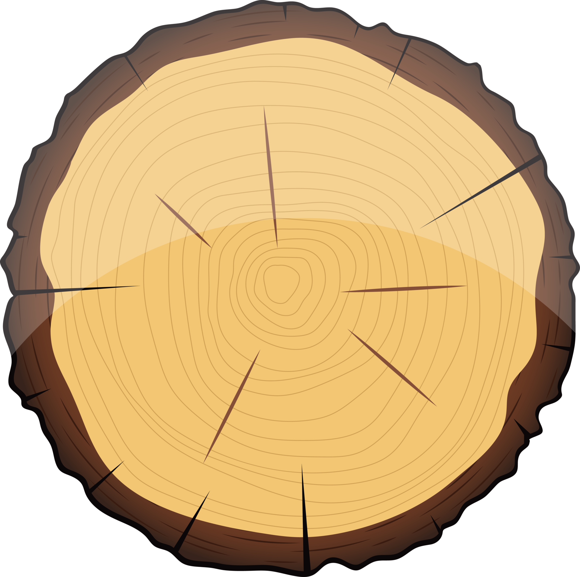 Sección Transversal De La Ilustración De Diseño De Clipart De árbol De