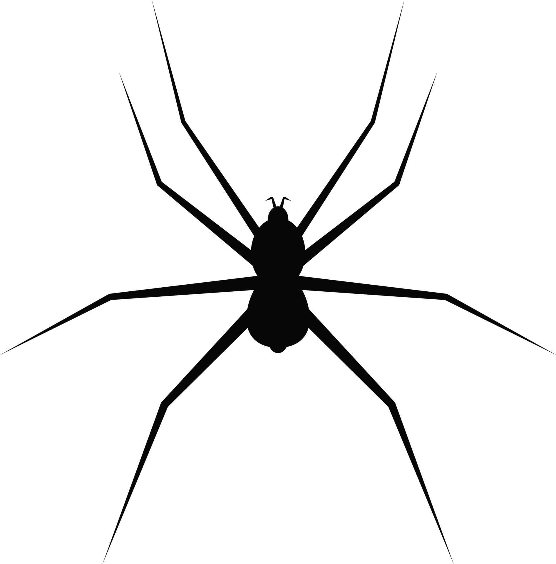 Spiders PNGs for Free Download