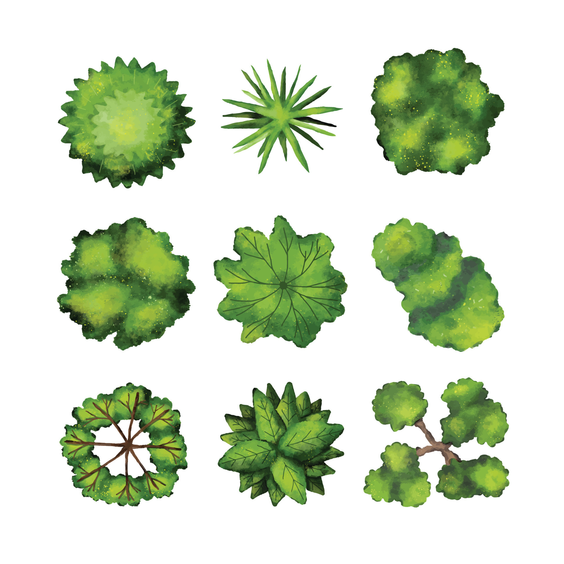 Full Colour Tree Plan Element Collections 9387107 Vector Art at Vecteezy