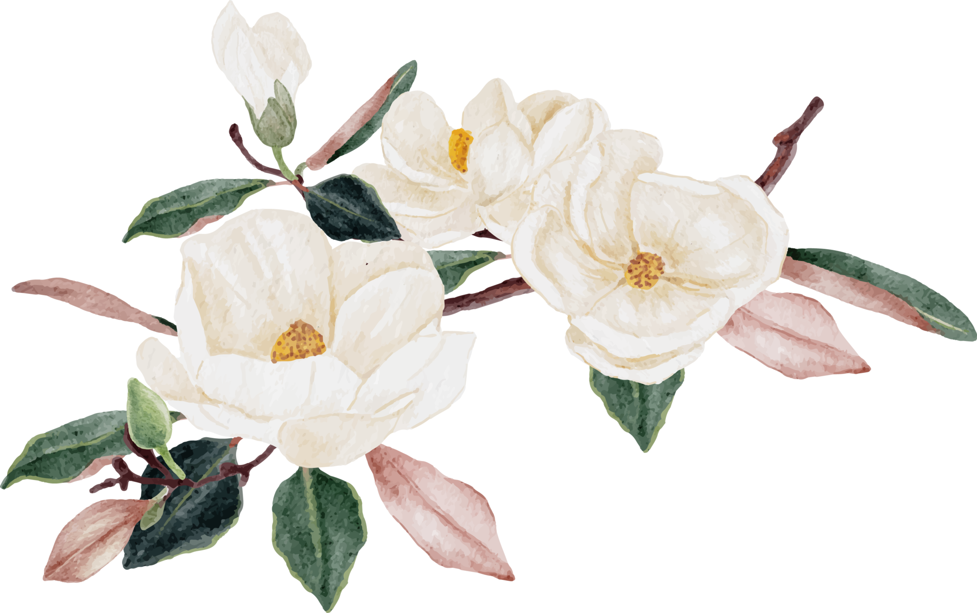 Watercolor White Magnolia Flower And Leaf Branch Bouquet 9390941 Png
