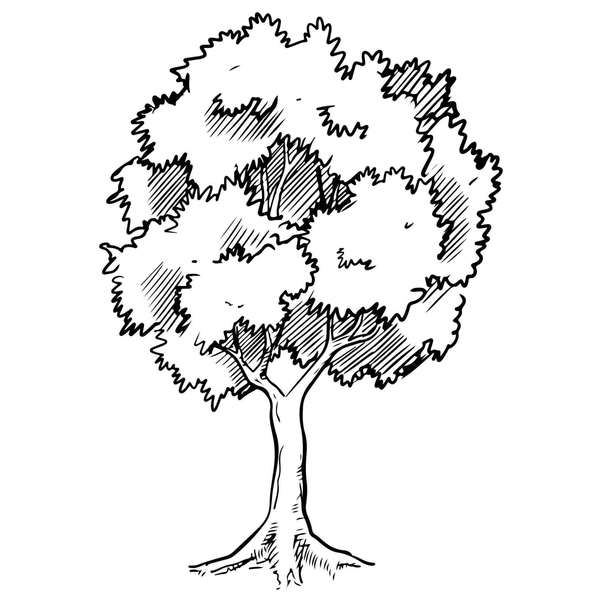 Hand drawn tree isolated on white background. vector illustration ...