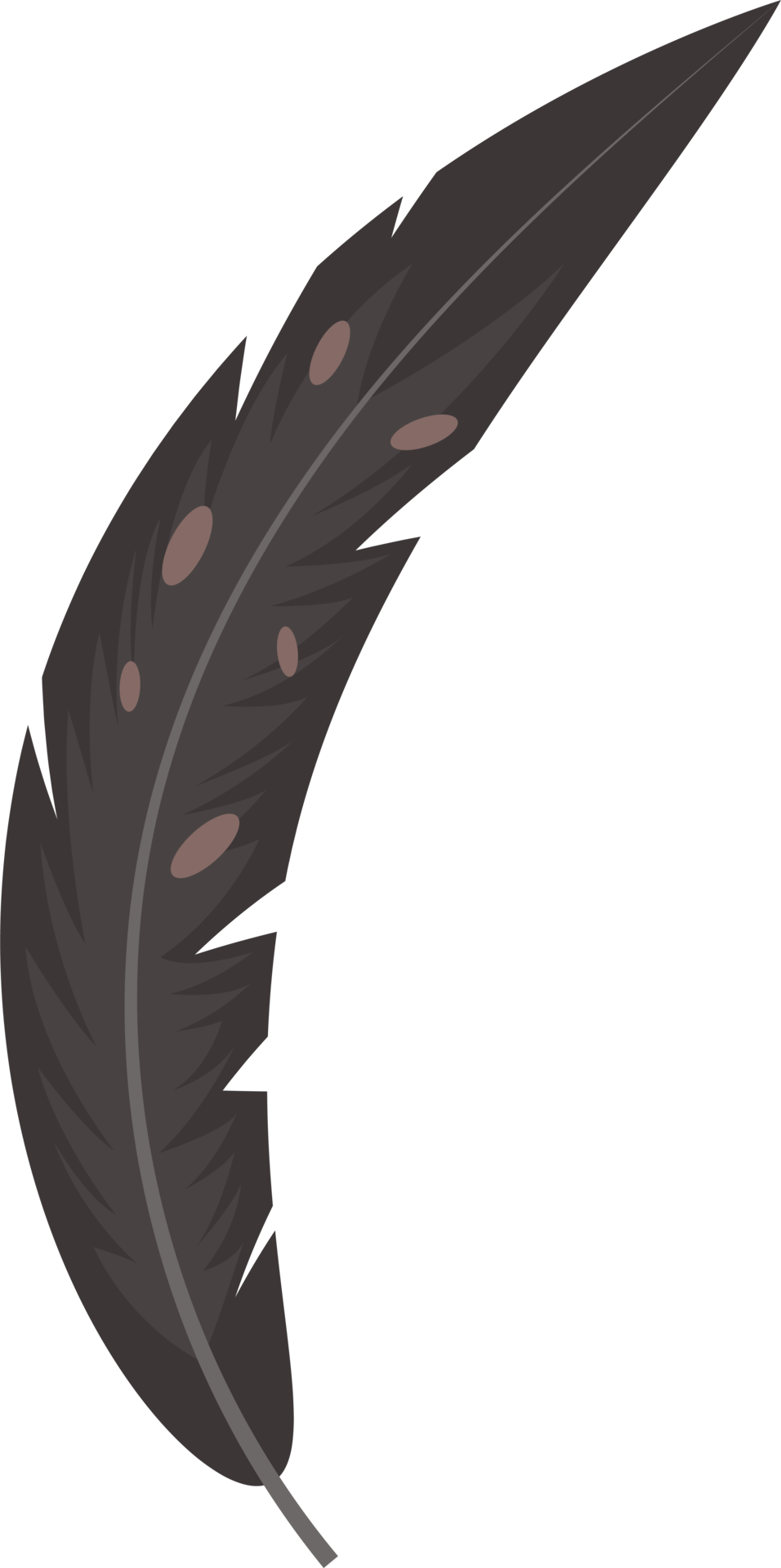 Colored feather clipart design illustration 9394231 PNG Colored feather clipart design illustration 9394231 PNG