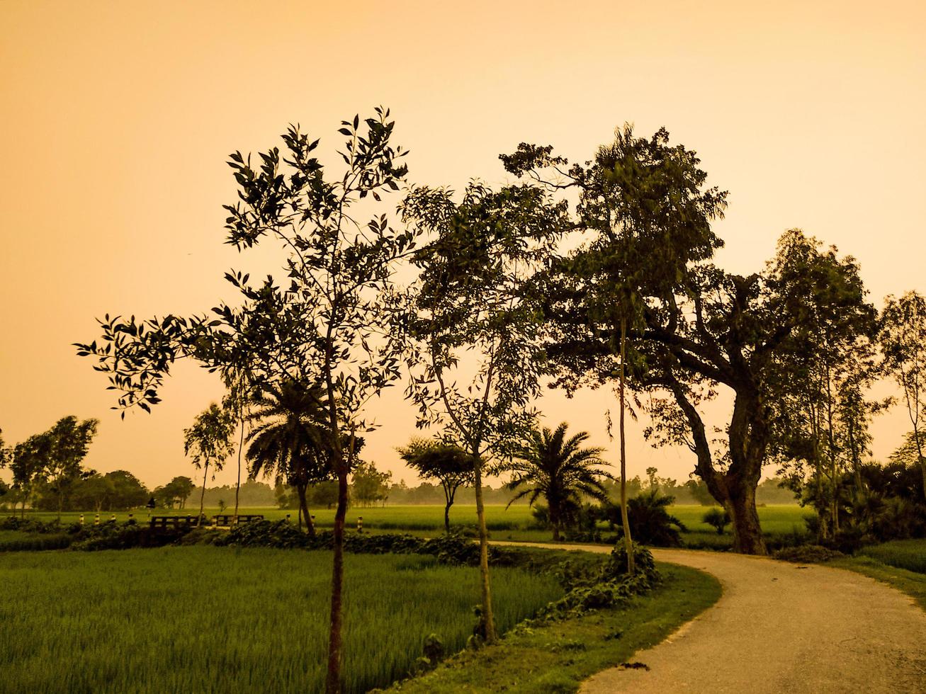 Indian Landscape Stock Photos, Images and Backgrounds for Free Download
