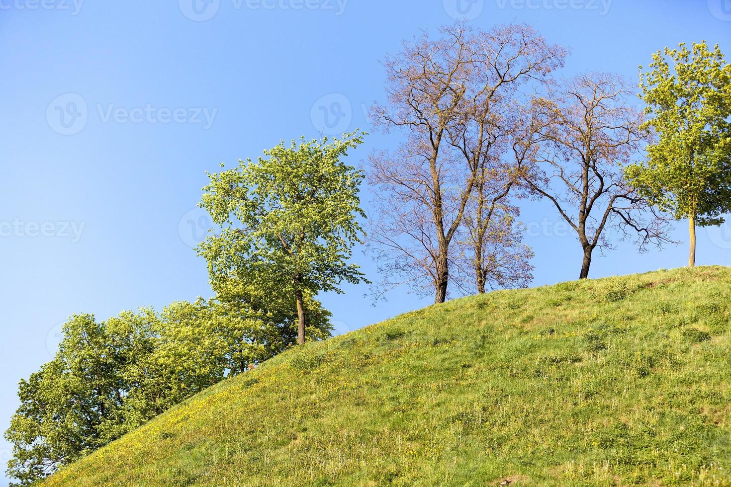 spring season Photo 9409438 Stock Photo at Vecteezy