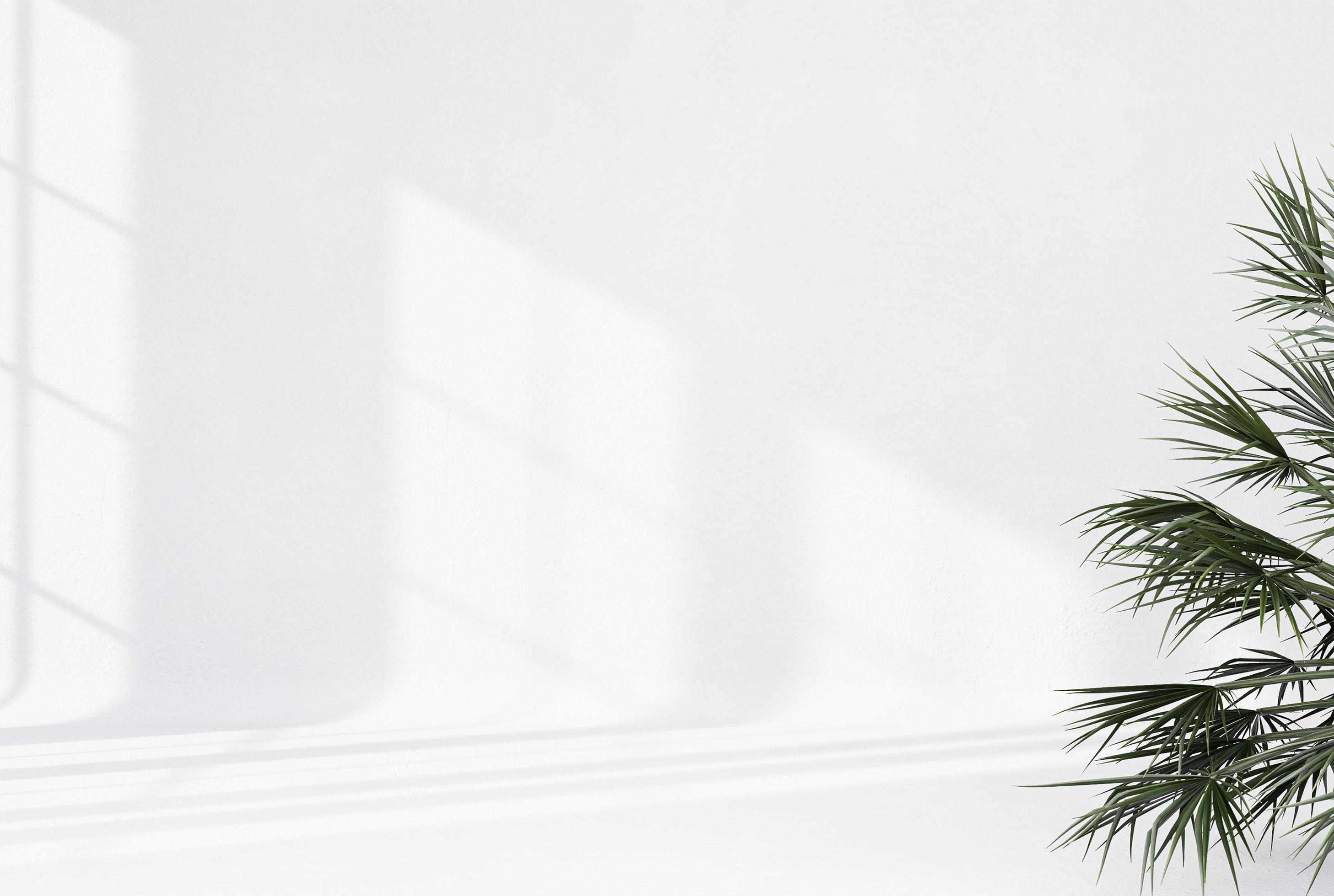 Plants Tumblr Background plants-tumblr-background