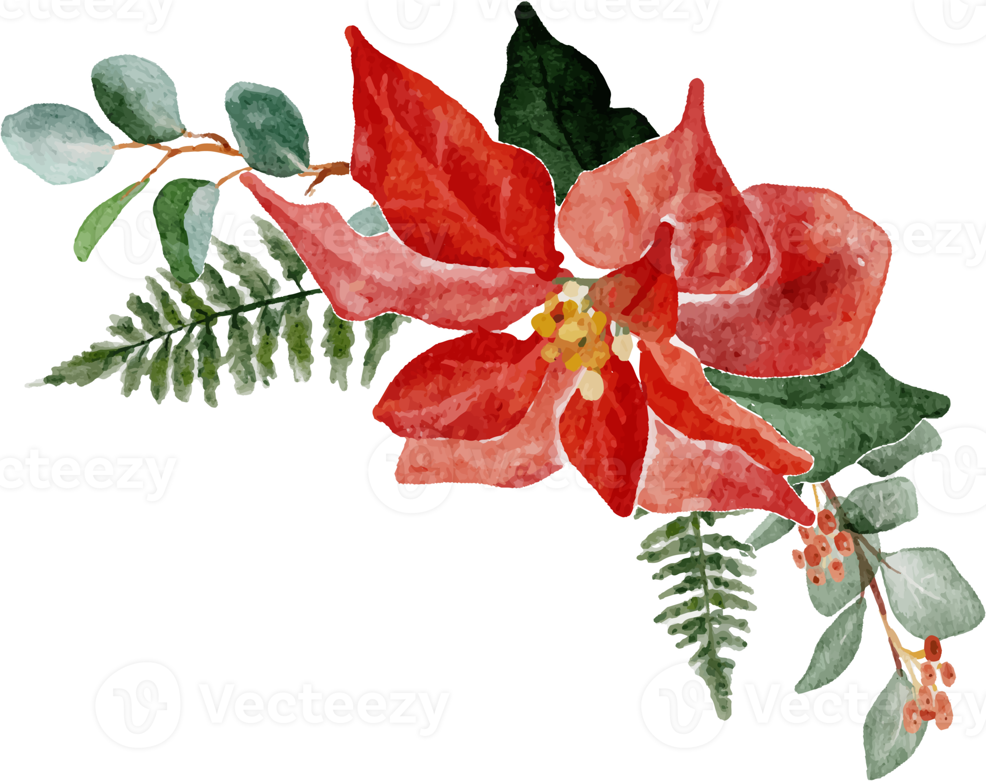 Watercolor Christmas Poinsettia Flower Bouquet Elements 9413805 Png