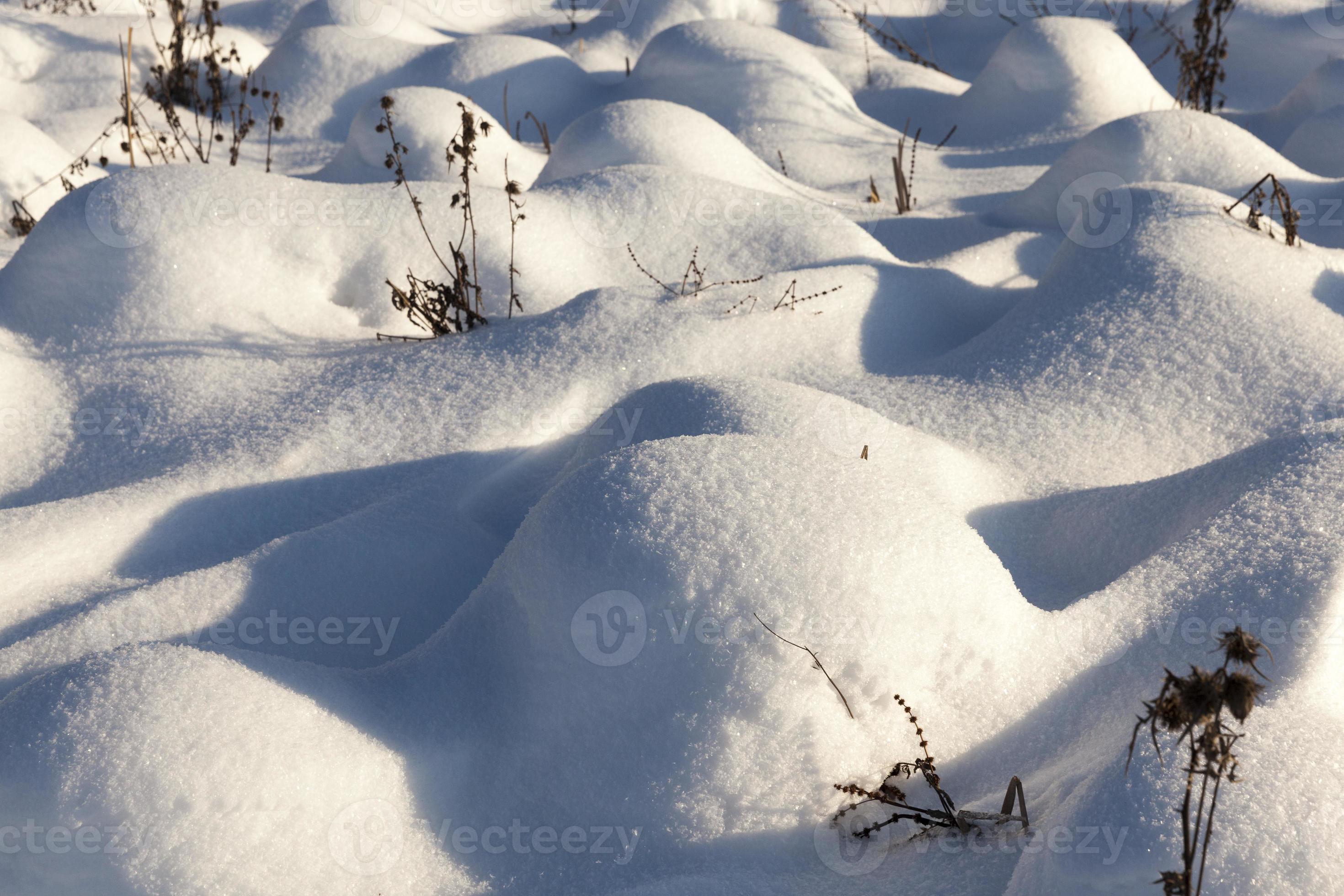 hummocks in the swamp large drifts after snowfalls and blizzards ...