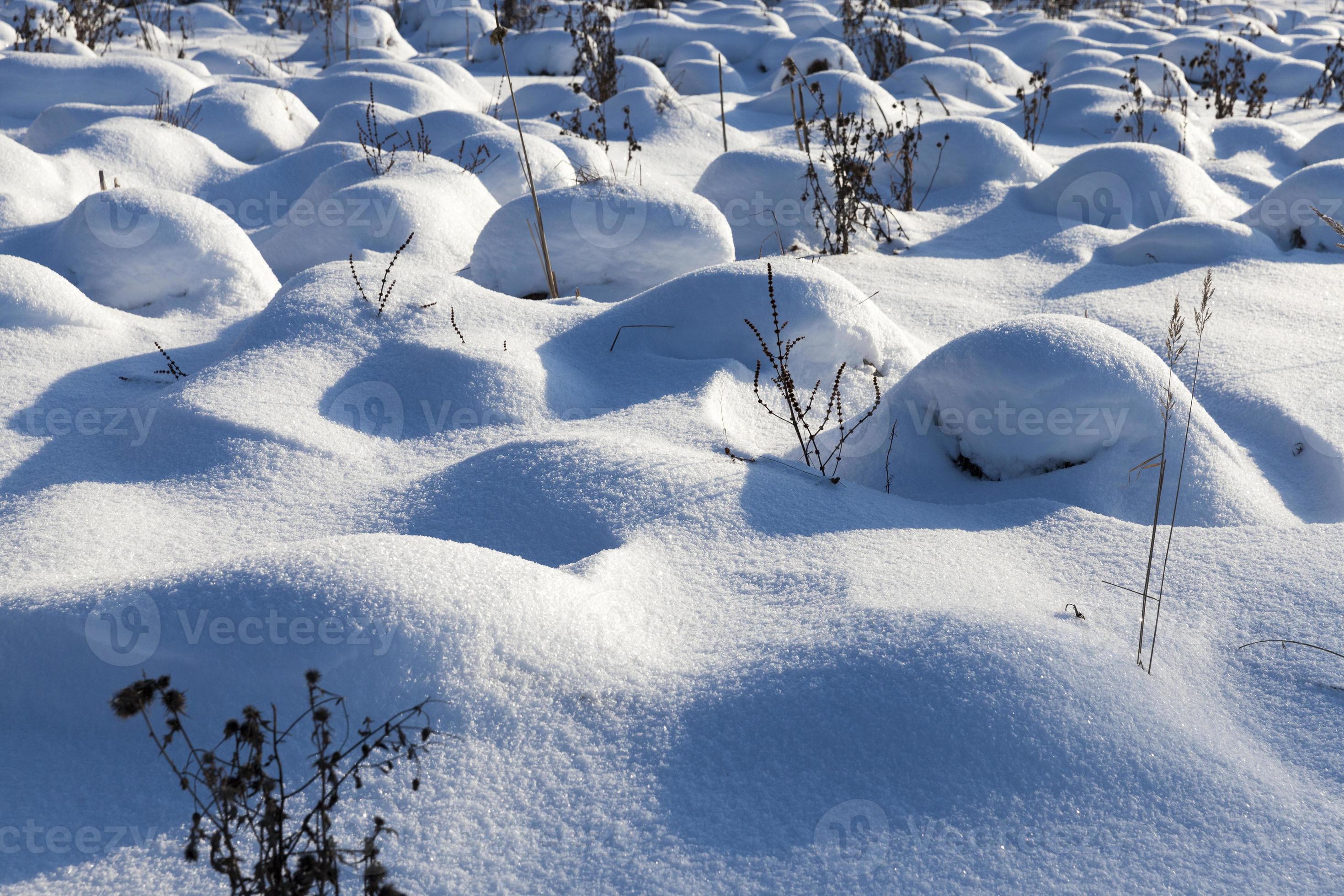 hummocks in the swamp large drifts after snowfalls and blizzards ...