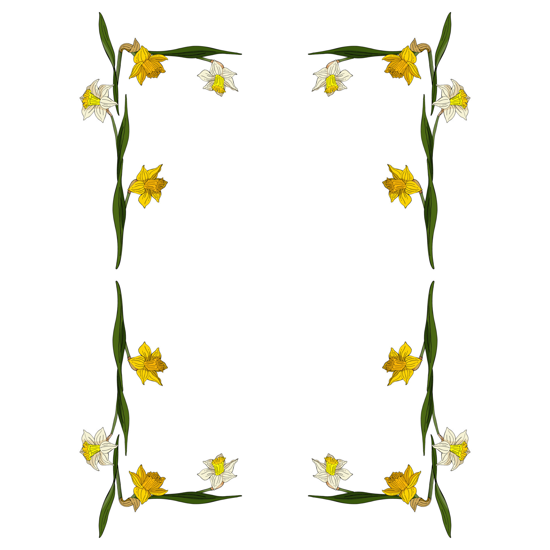 Daffodil Border Clip Art