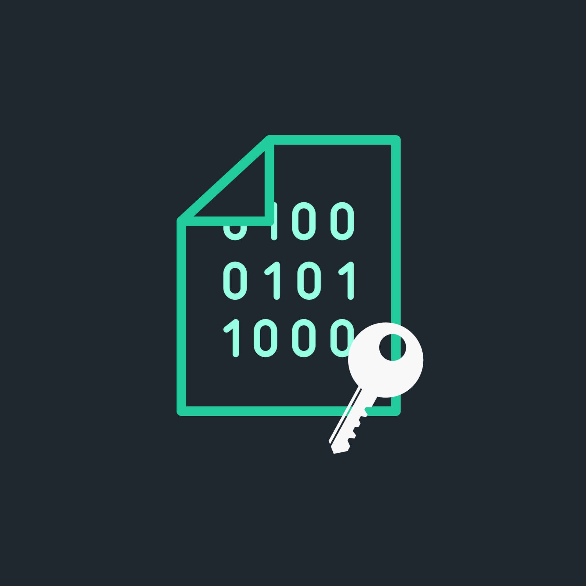 Encrypted Binary File With Key Computer Cyber Cryptography Icon Vector