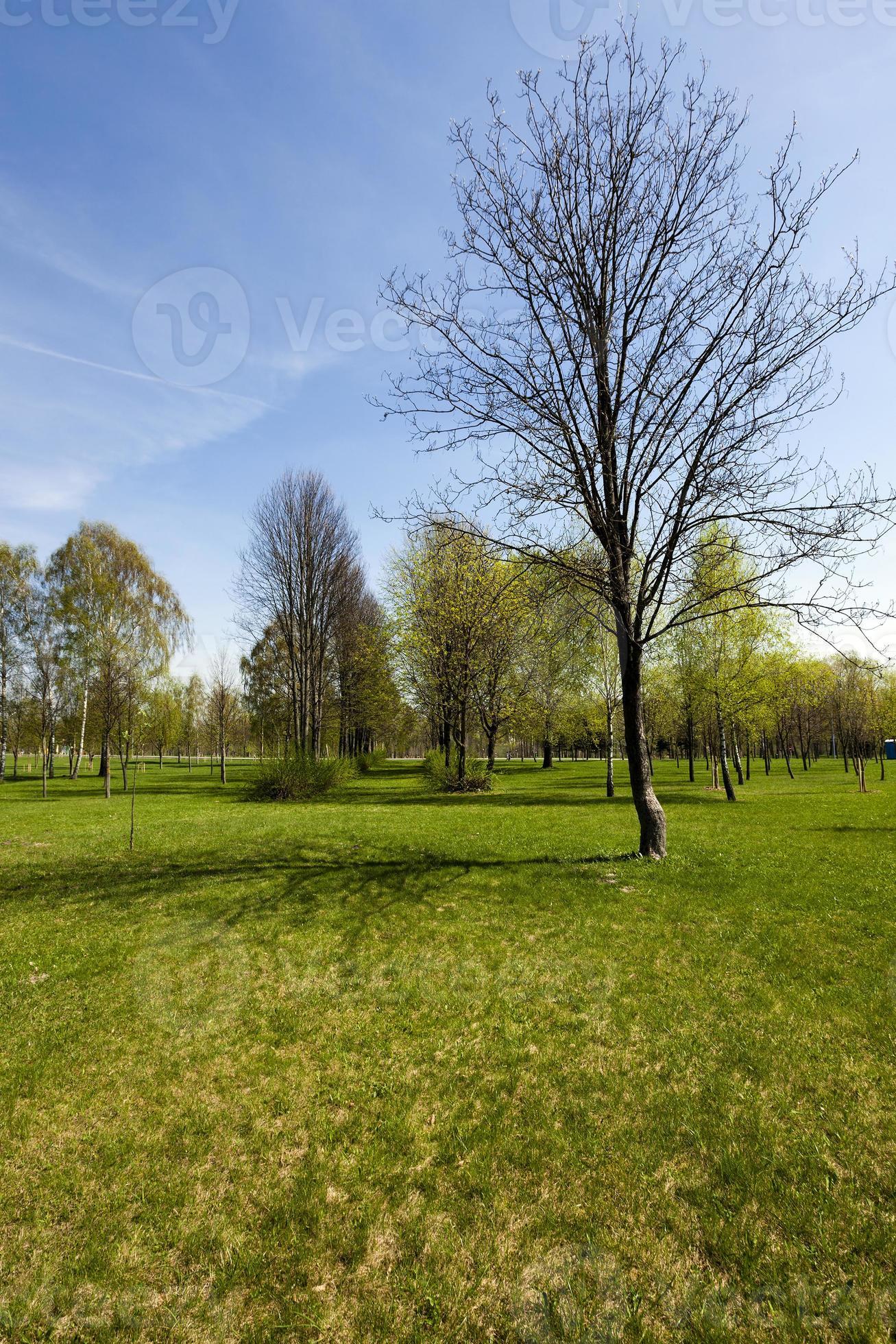 spring season Photo 9491814 Stock Photo at Vecteezy