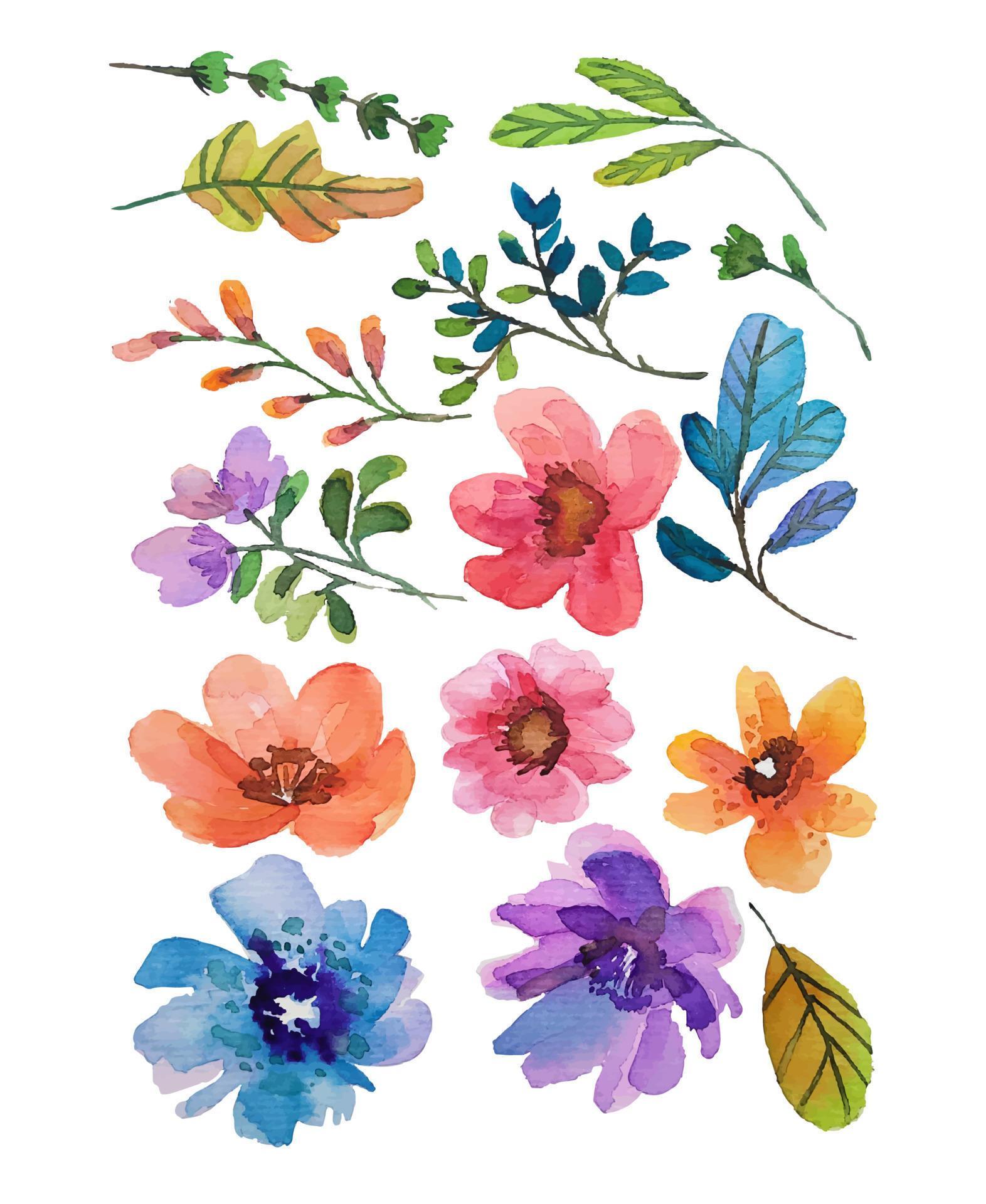 Watercolor Flower Elements Clipart 9494213 Vector Art At Vecteezy