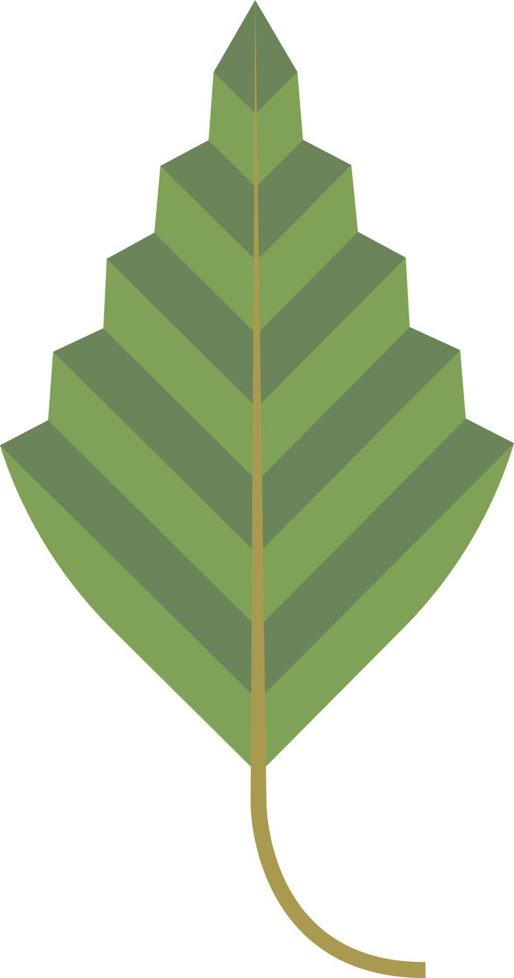 Temperate Deciduous Forest Illustration 9504900 Vector Art At Vecteezy