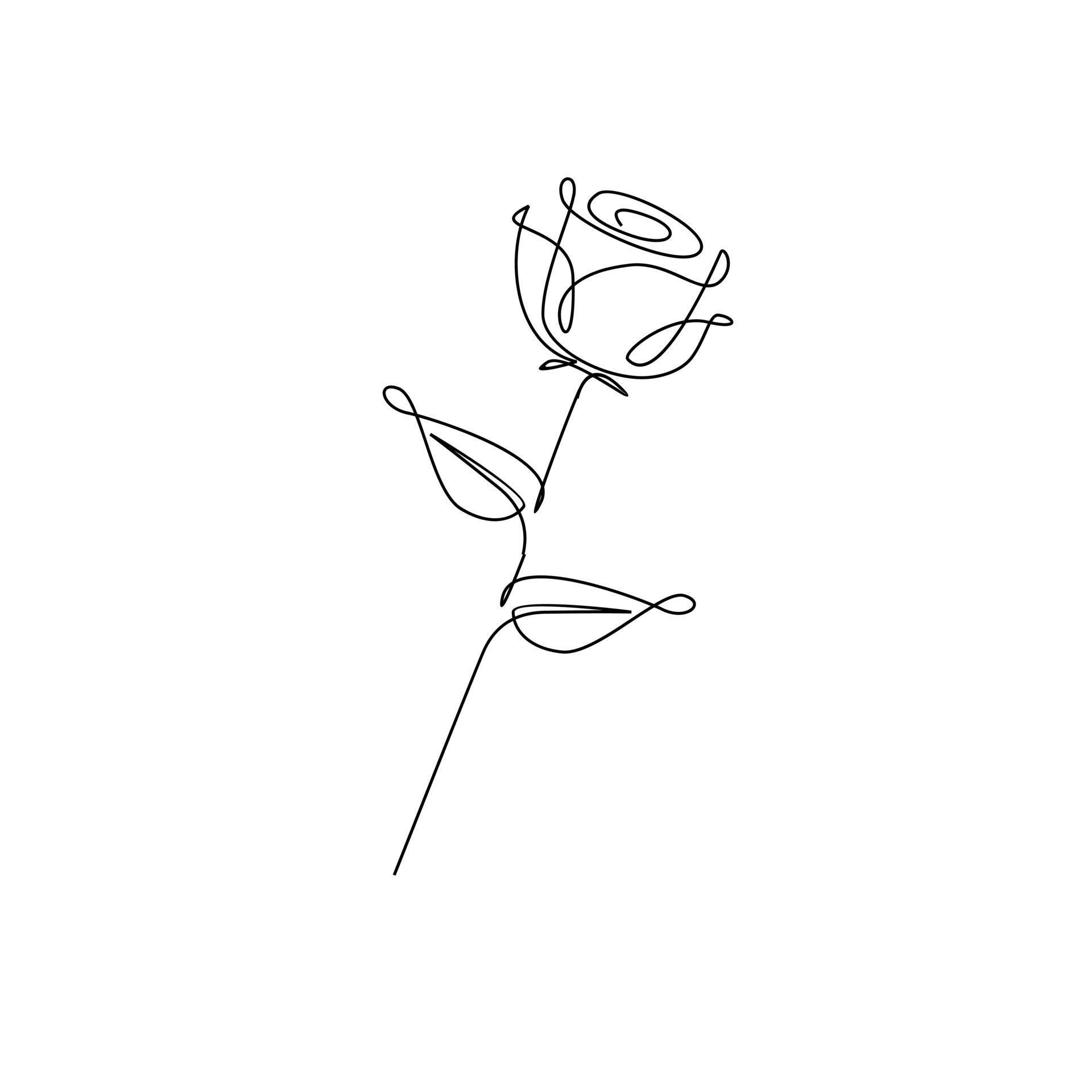 Rose Flower One Continuous Line Vector Illustration 9515975 Vector Art