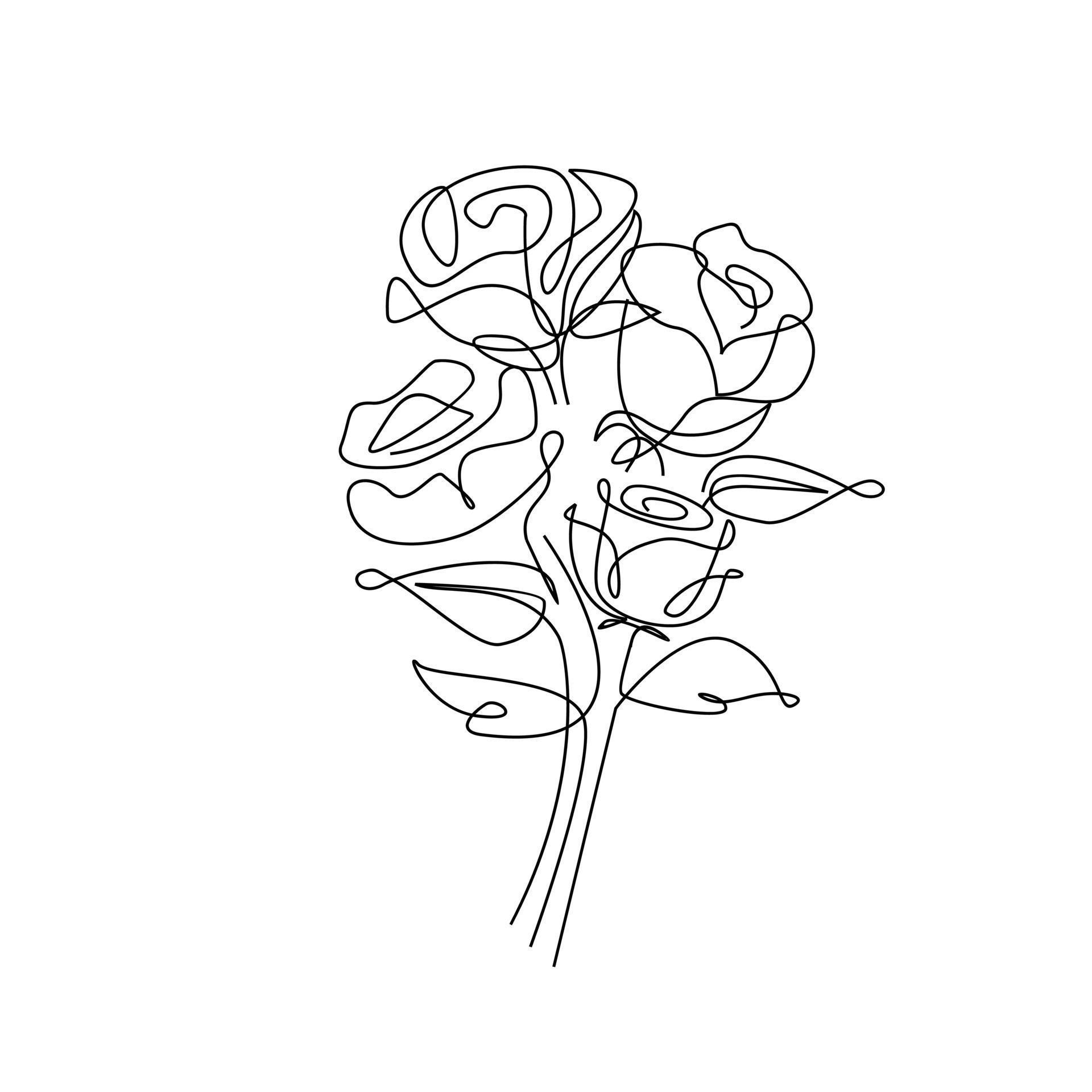 Rose Flower One Continuous Line Vector Illustration 9516021 Vector Art
