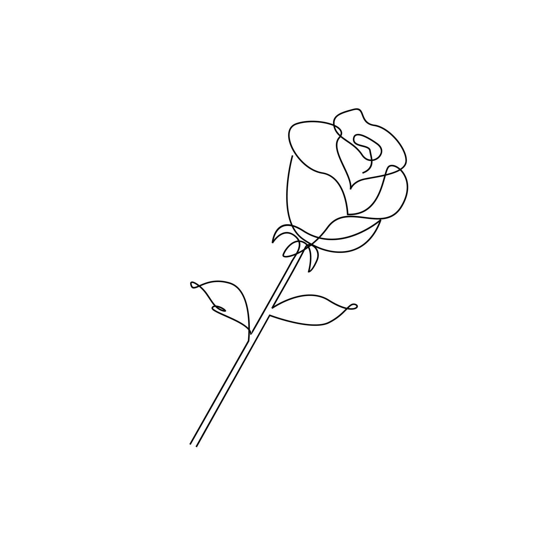 Rose Flower One Continuous Line Vector Illustration 9516197 Vector Art