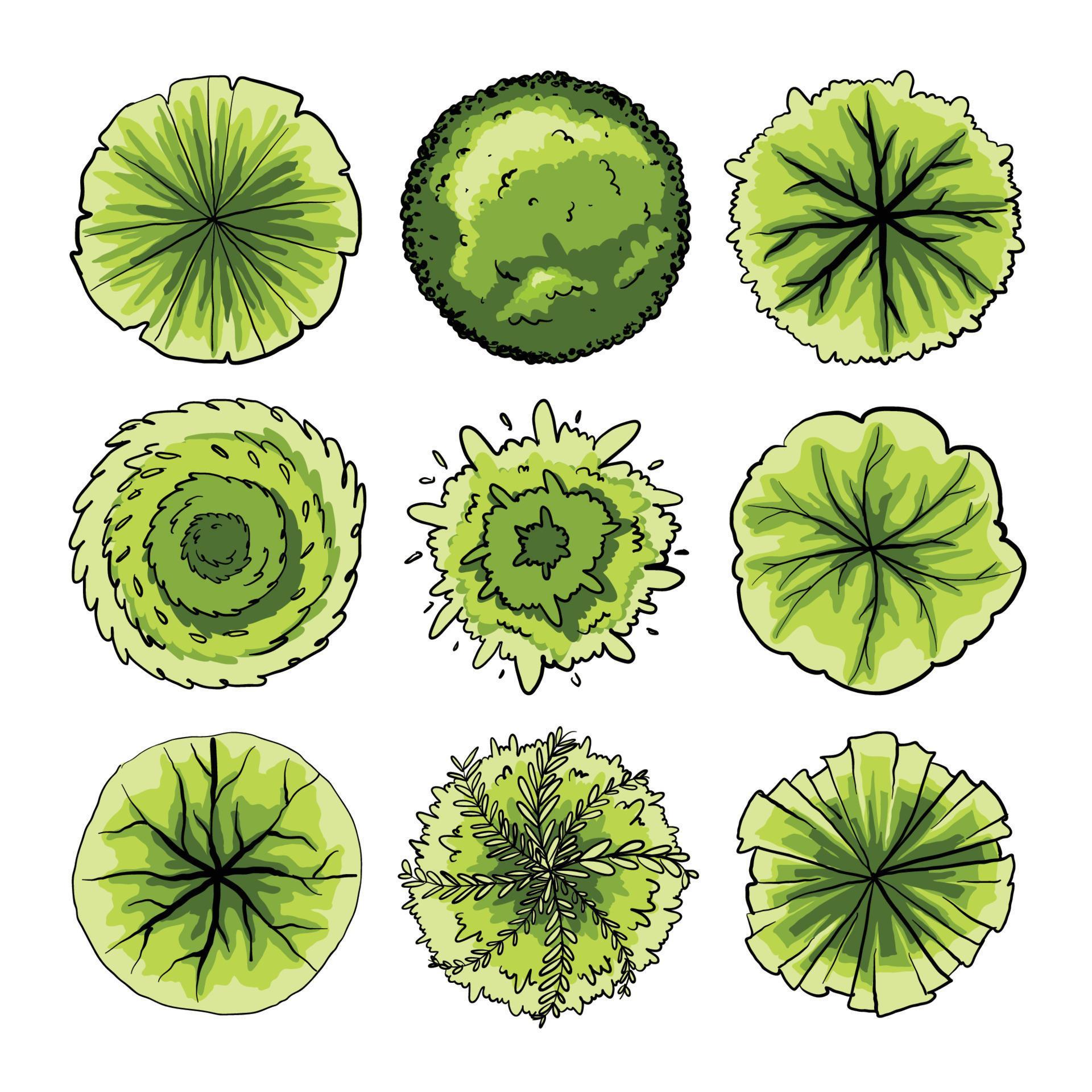 Architechture Full Colors Tree Plan Collection 9516476 Vector Art at ...