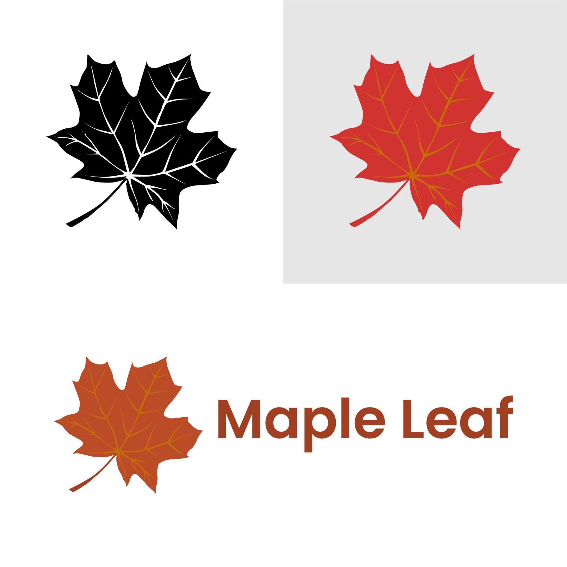 Autumn maple leaf vector on a white background 9524783 Vector Art at ...