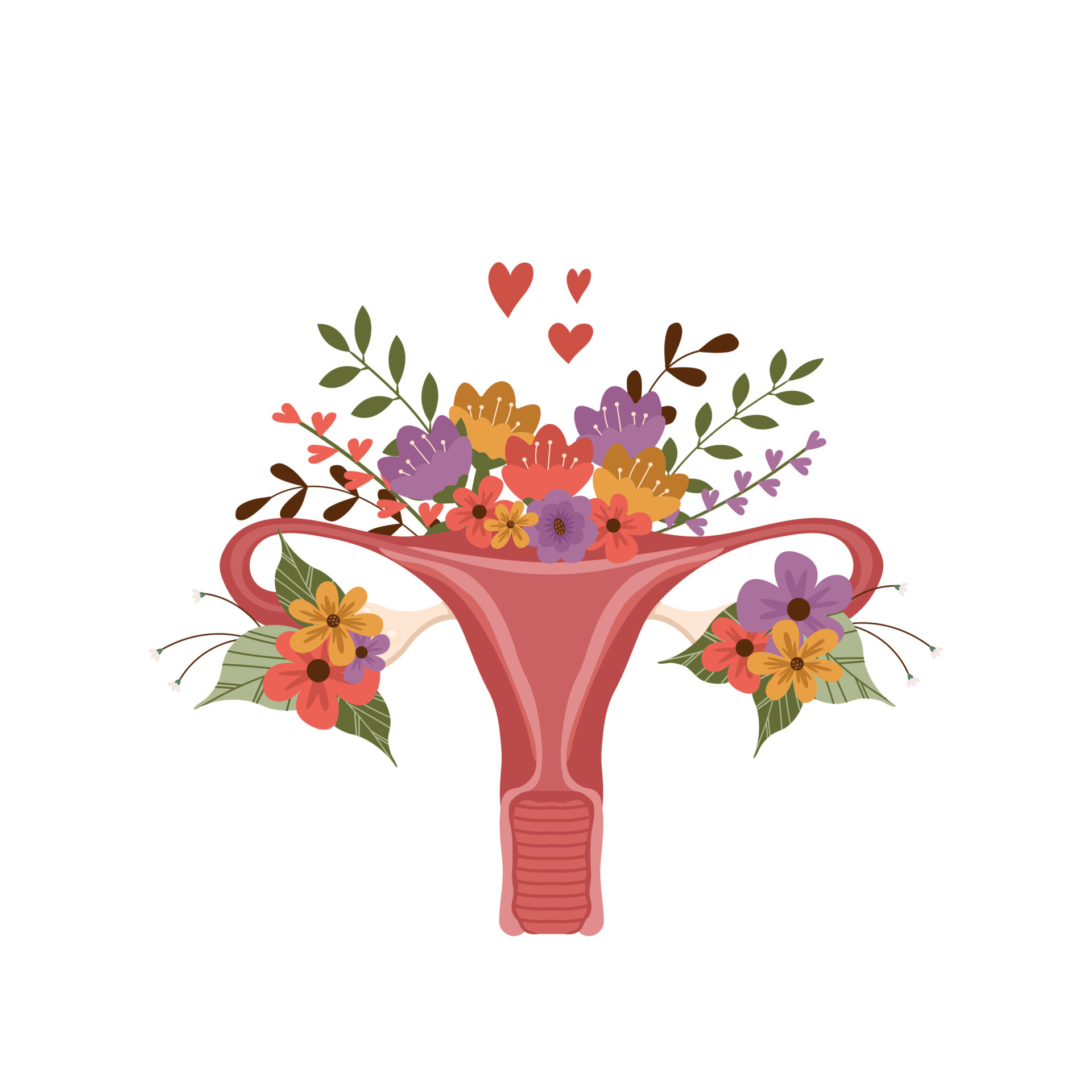 Vector Abstract Drawing Of A Healthy Female Uterus With Flowers Women