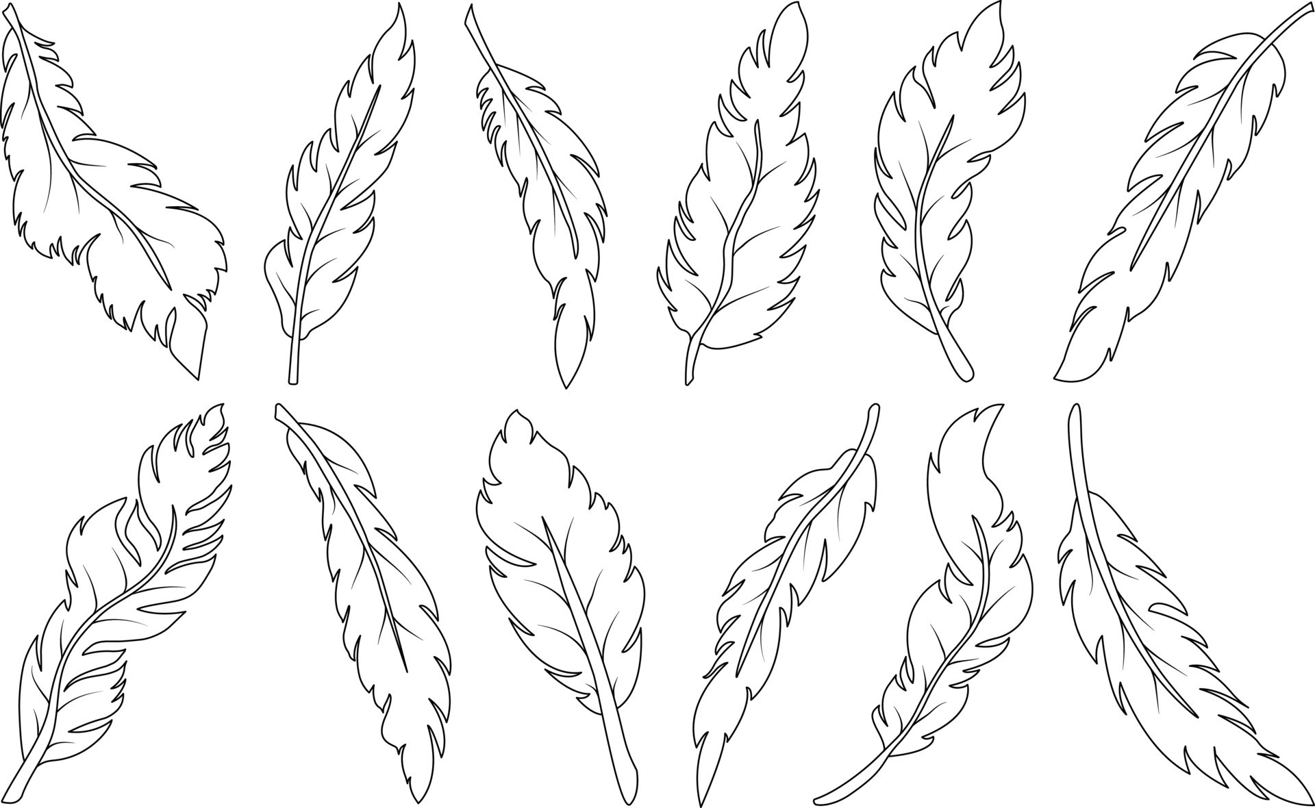 Set of various hand drawn feathers, abstract feather shape for design ...