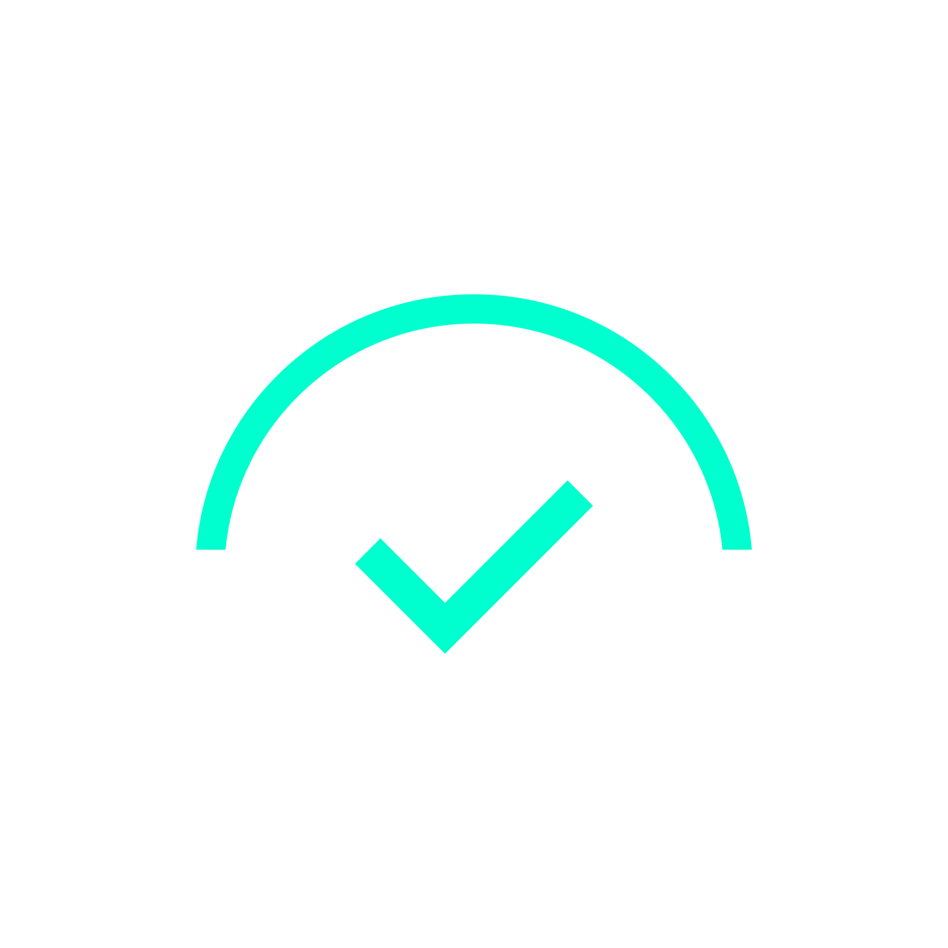 Check Mark Icon 9591910 PNG