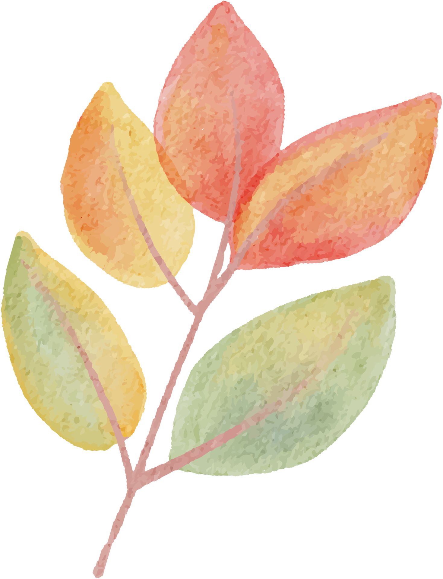 watercolor autumn fall leaves elements 9594179 PNG