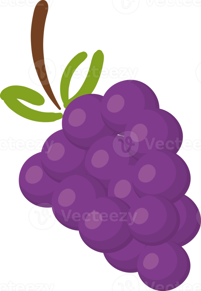 Dibujos Animados De Ilustración De Fruta De Uva 9597356 Png