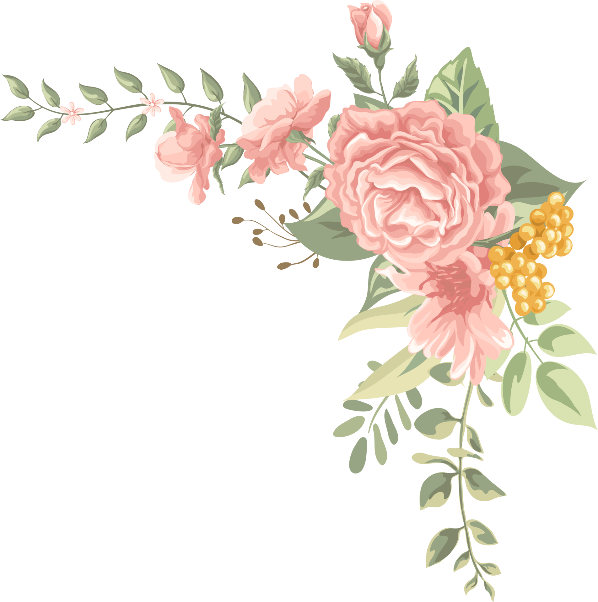 Rose Flower and botanical leaf digital painted 9597415 PNG