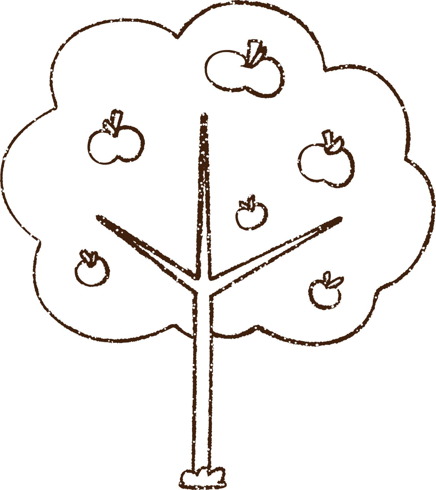 Apple Tree Charcoal Drawing 9599081 Vector Art at Vecteezy