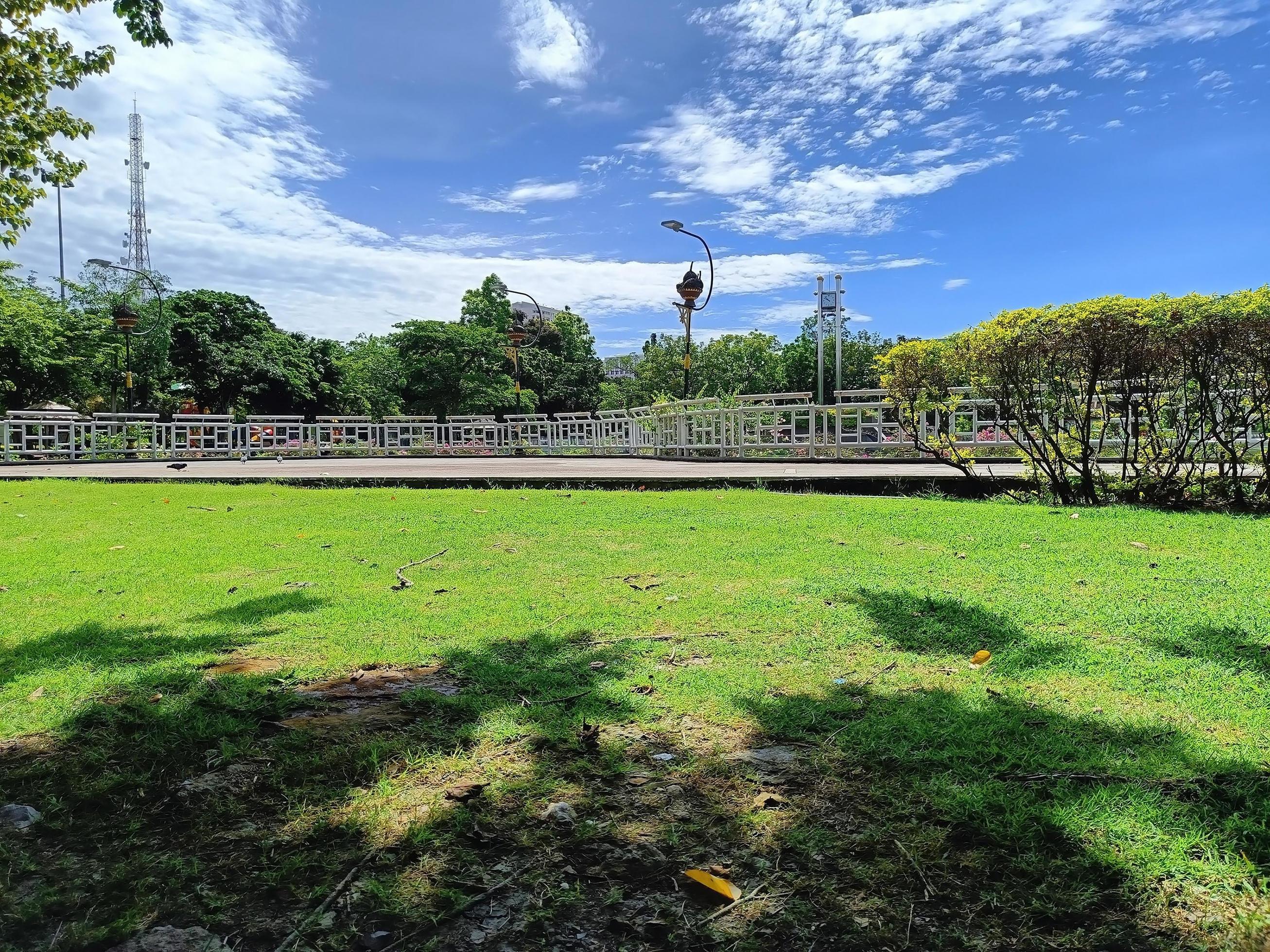 Green tree forest in city thailand nonthaburi public park with green meadow grass nature ...