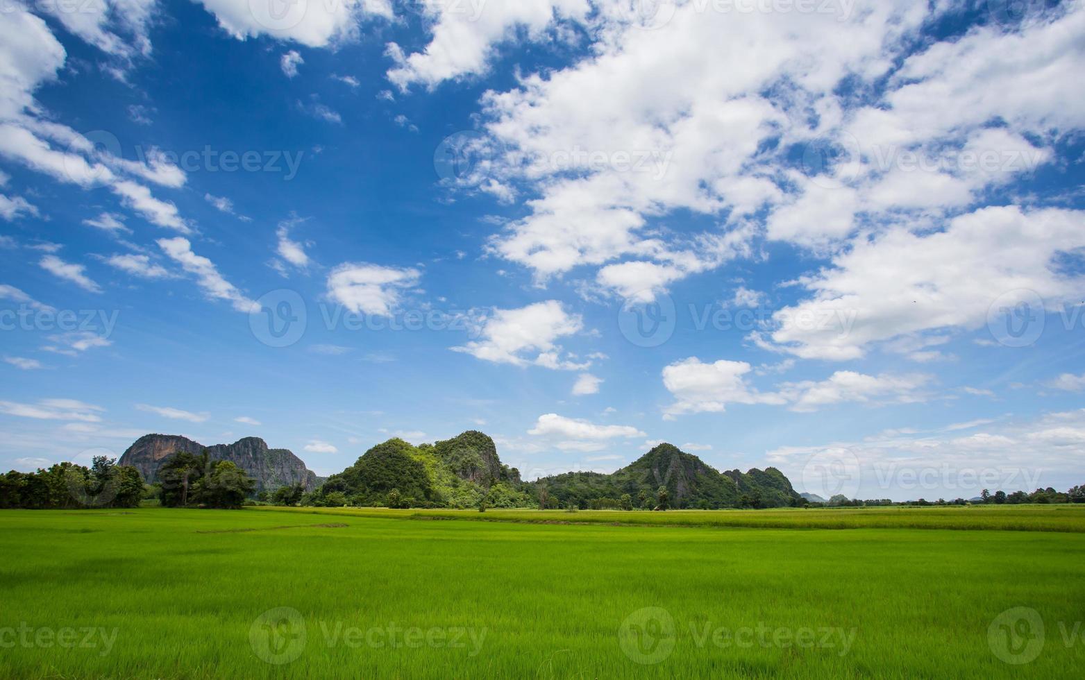 Grass With Sky Stock Photos, Images and Backgrounds for Free Download