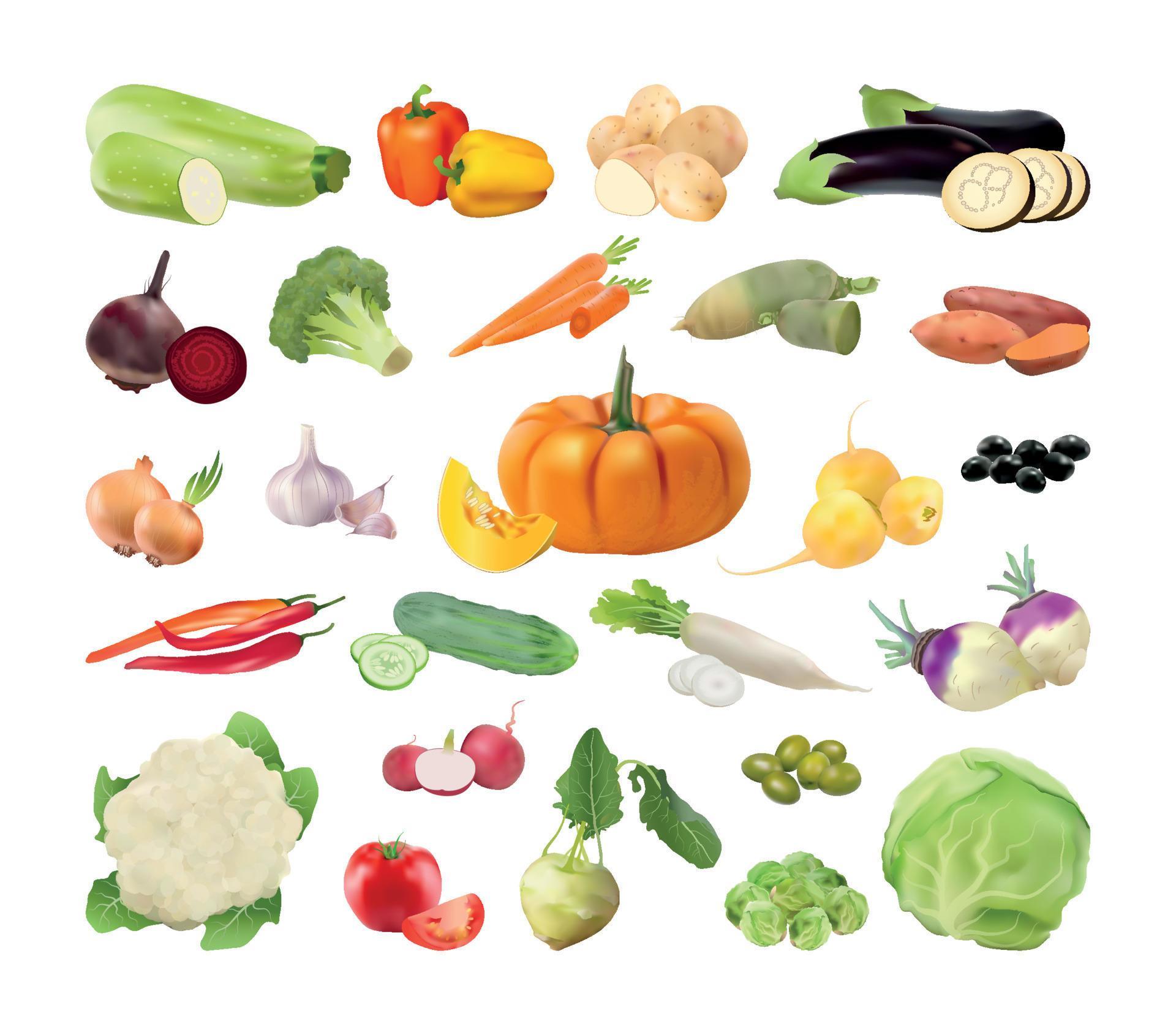 Set of Vegetables 9639623 Vector Art at Vecteezy